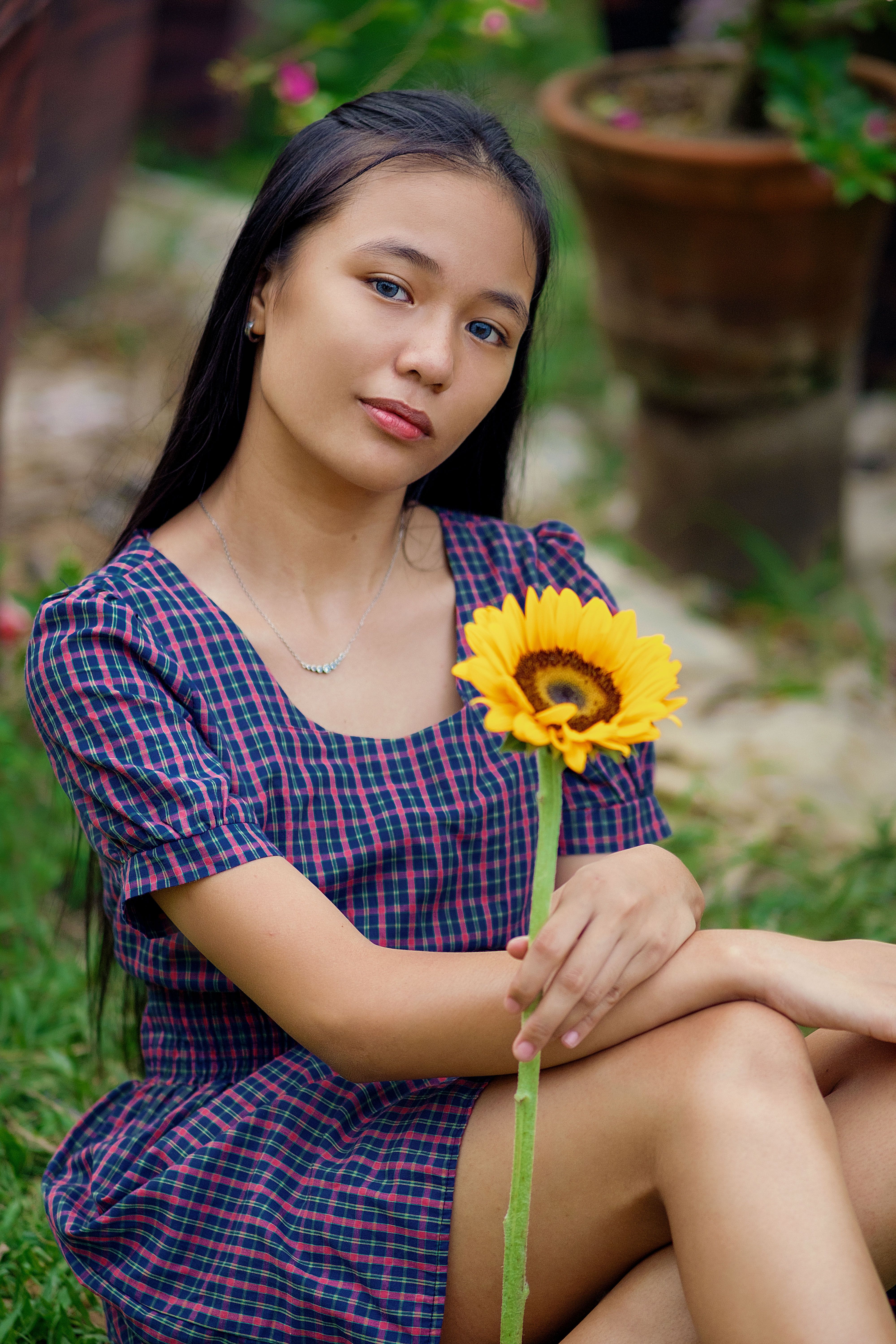 Sunflower Essence Photos, Download The BEST Free Sunflower Essence ...