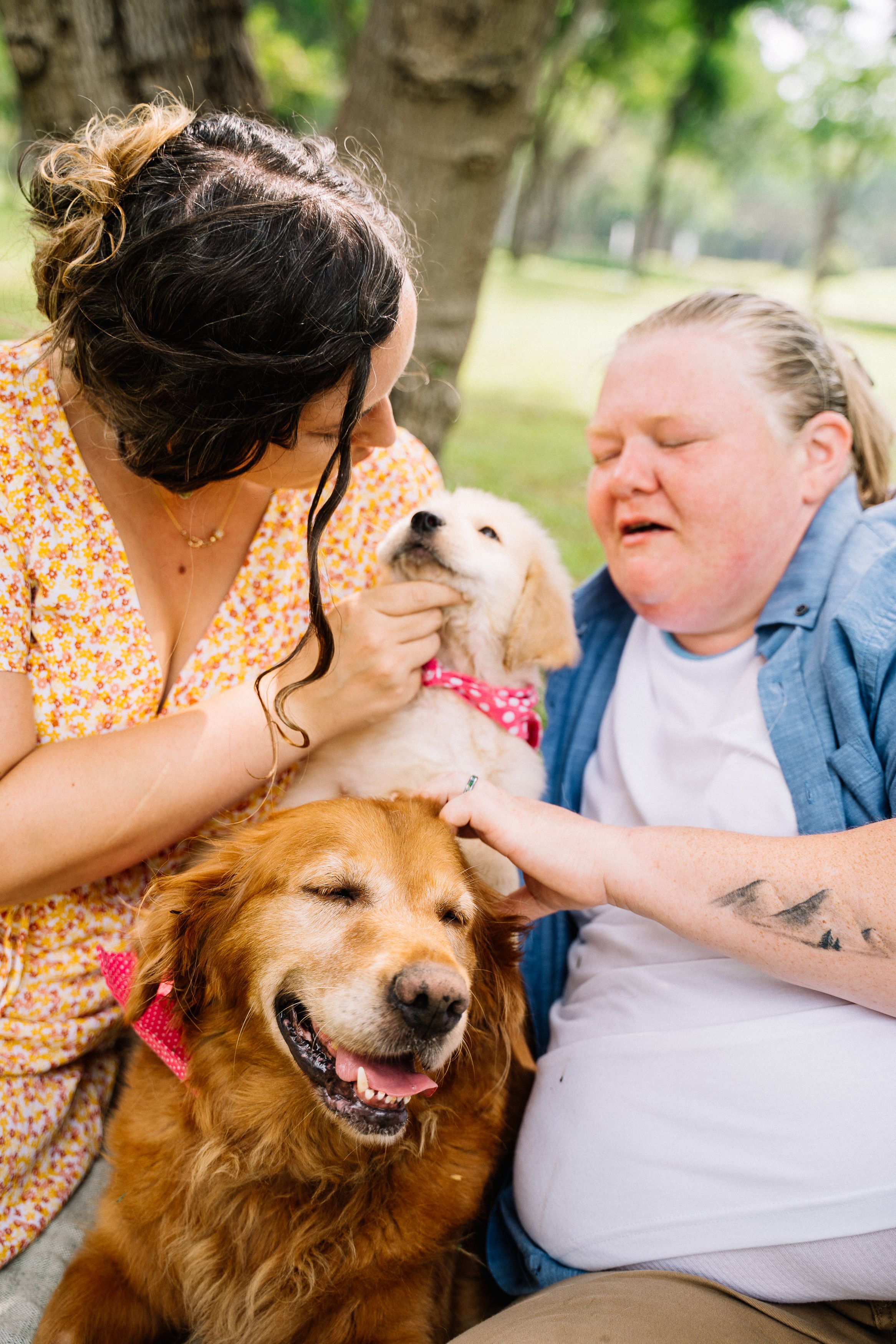 Photo Of People With Their Dogs · Free Stock Photo