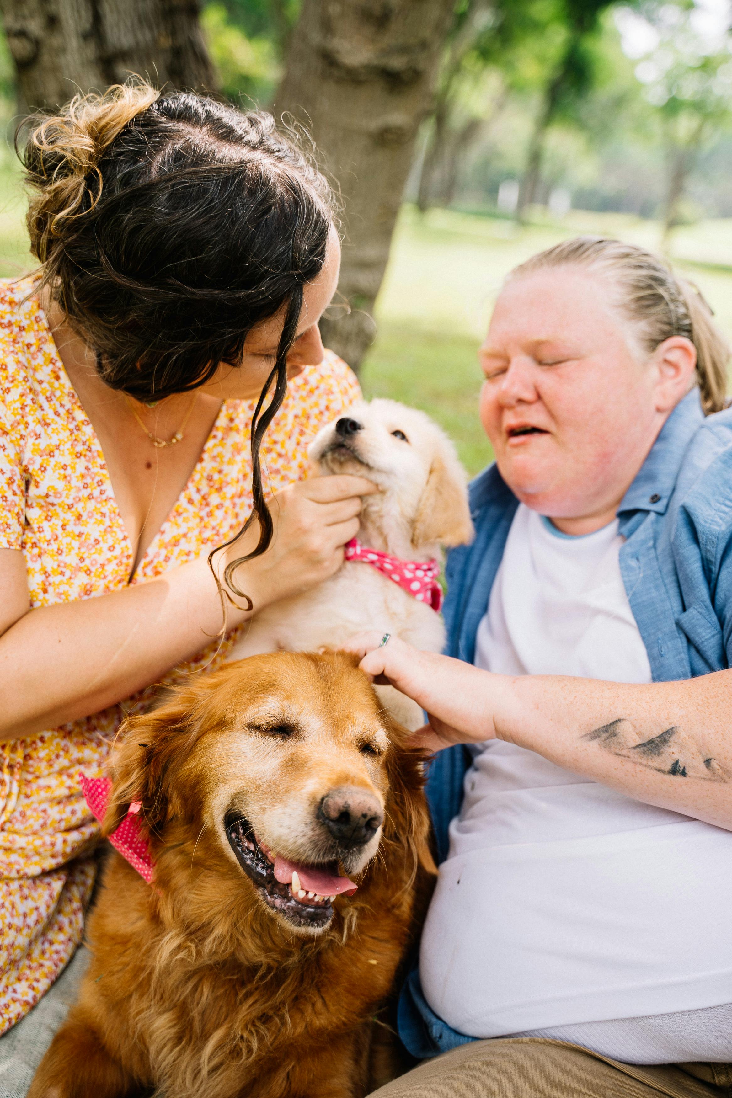 People Bonding With Their Dogs · Free Stock Photo