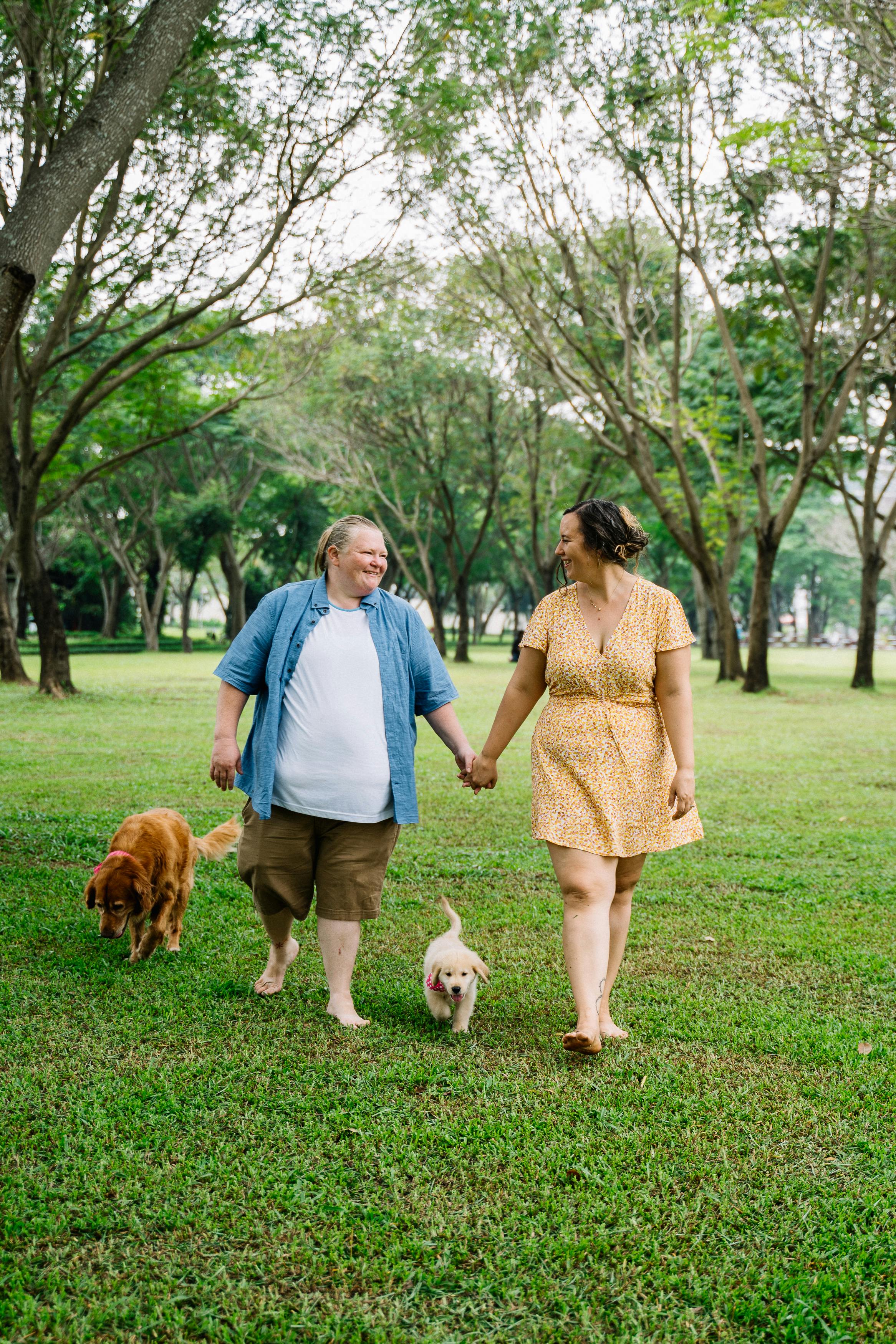 Dogs Walking Photos, Download Free Dogs Walking Stock Photos & HD Images