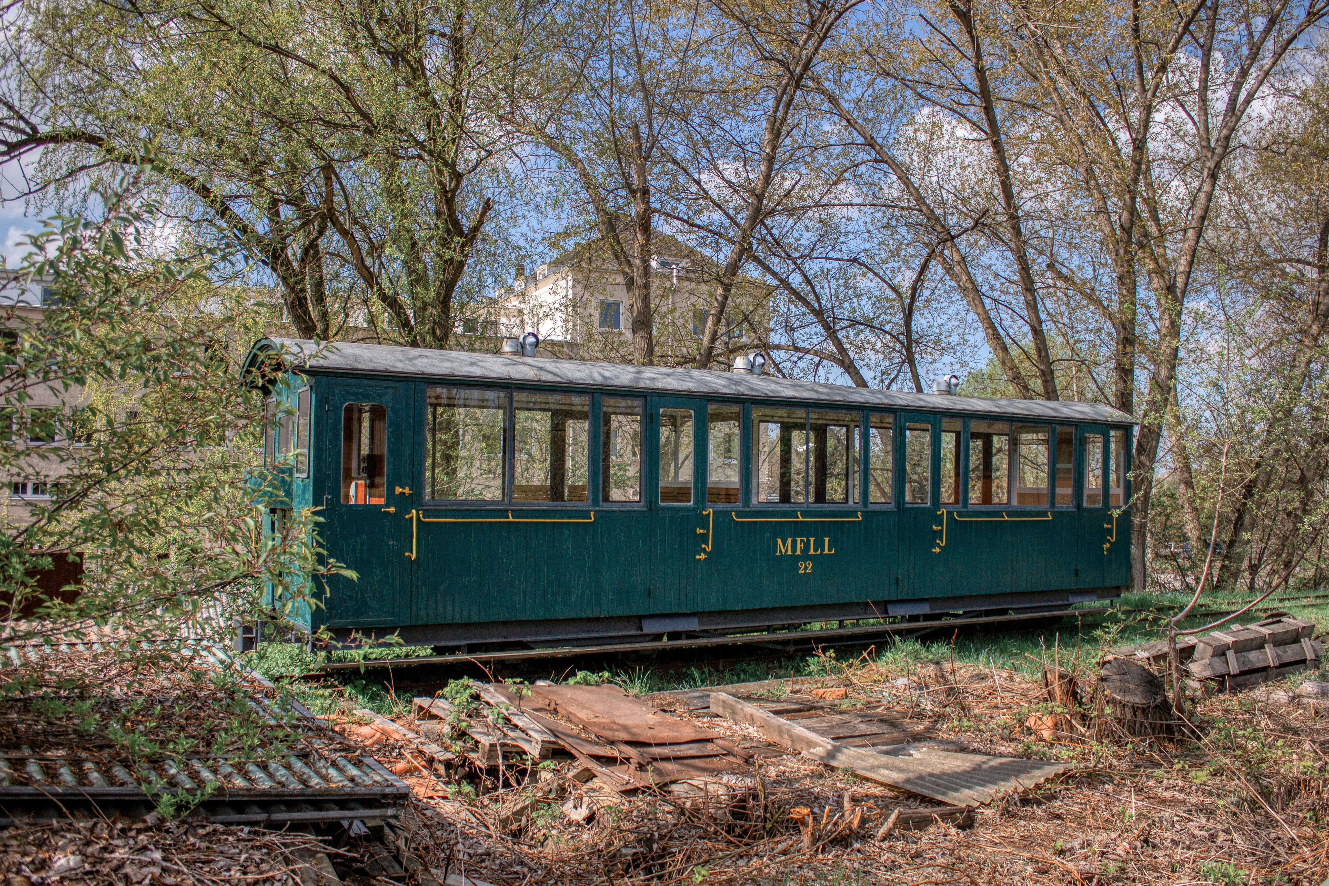 Green Old Train Car among Trees · Free Stock Photo