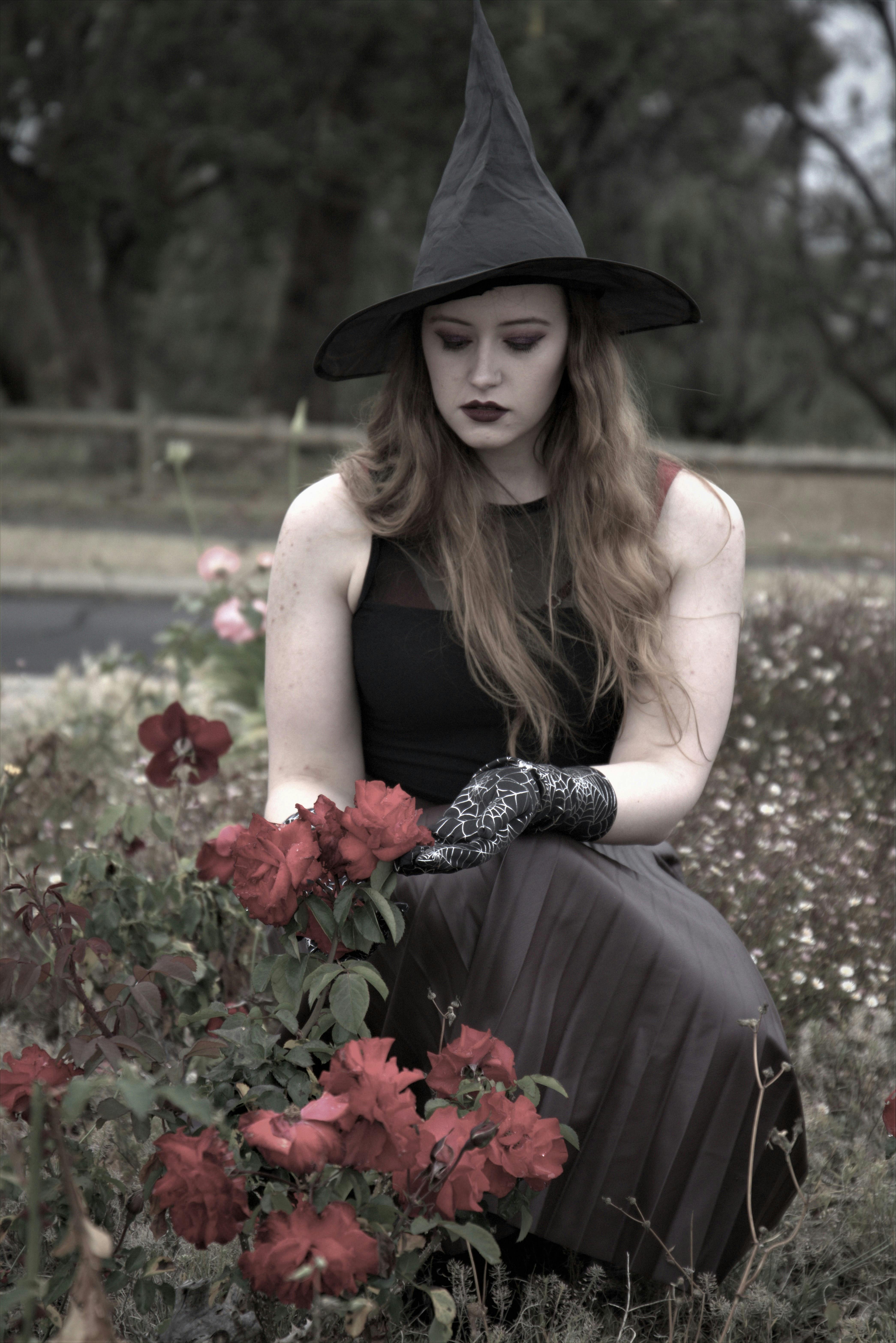 Pointy Photos, Download The BEST Free Pointy Stock Photos & HD Images