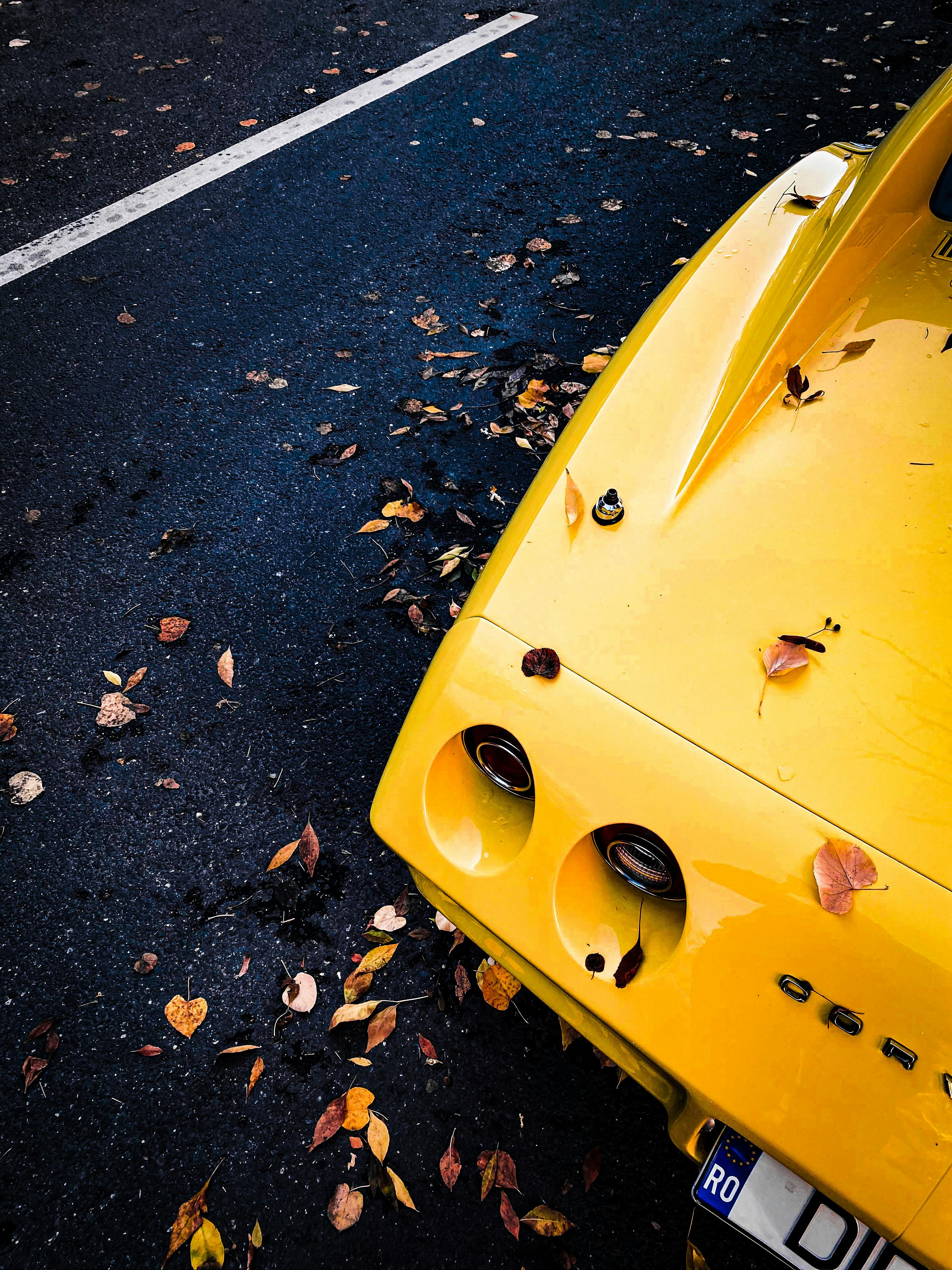 Adrian Botnari - 攝影