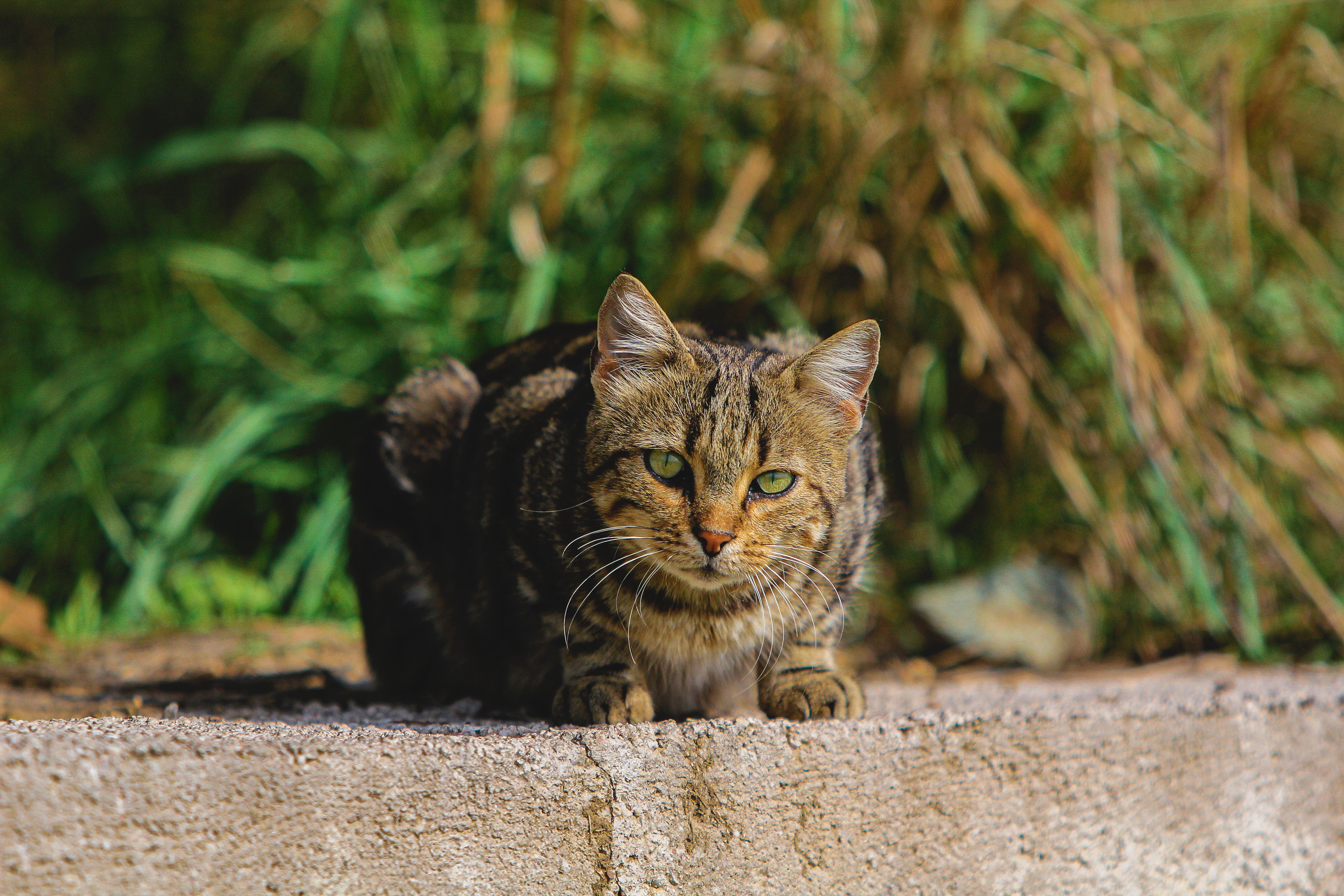 Staring Over A Ledge Photos, Download The BEST Free Staring Over A ...