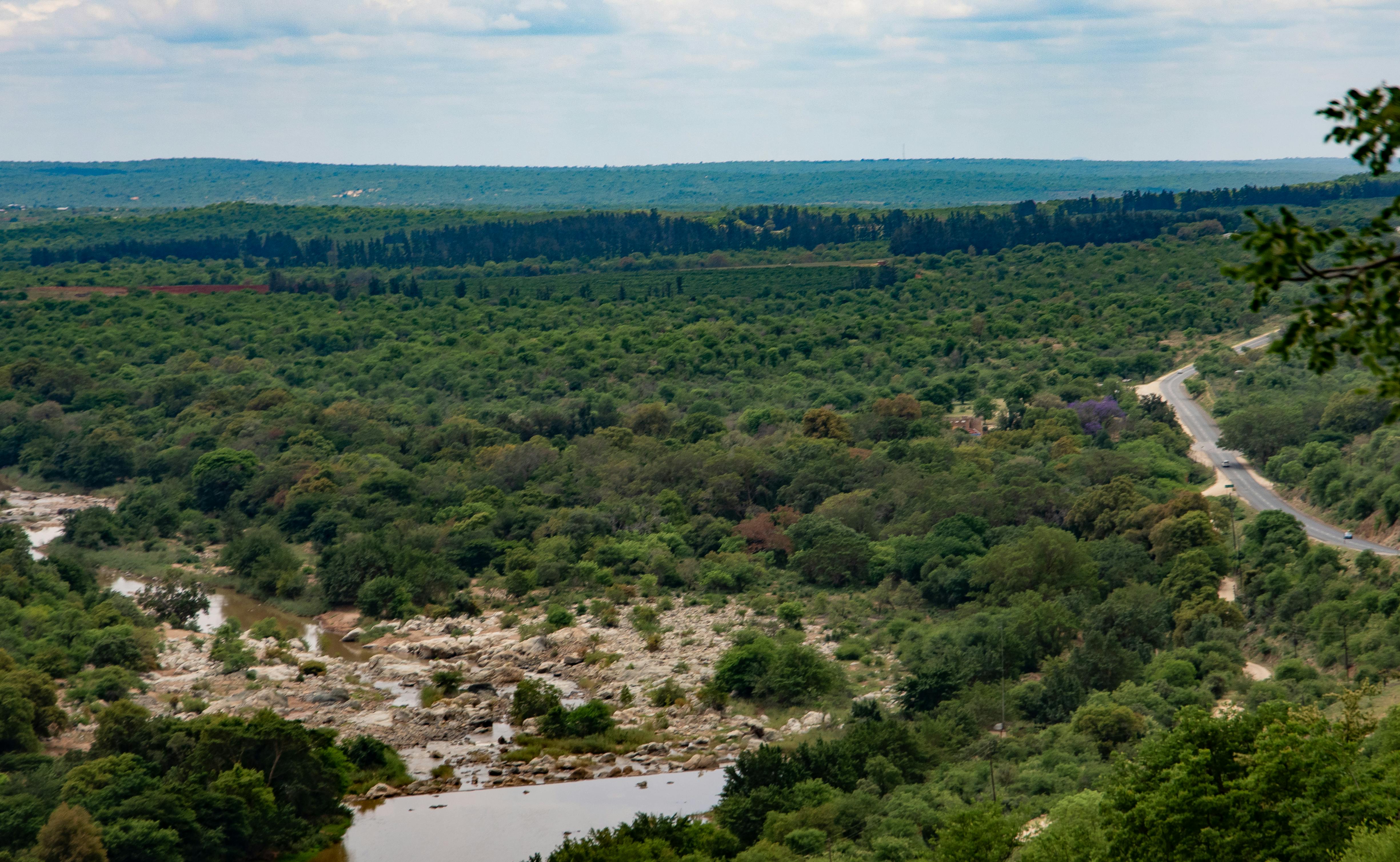 An Aerial Shot of a Vast Forest · Free Stock Photo