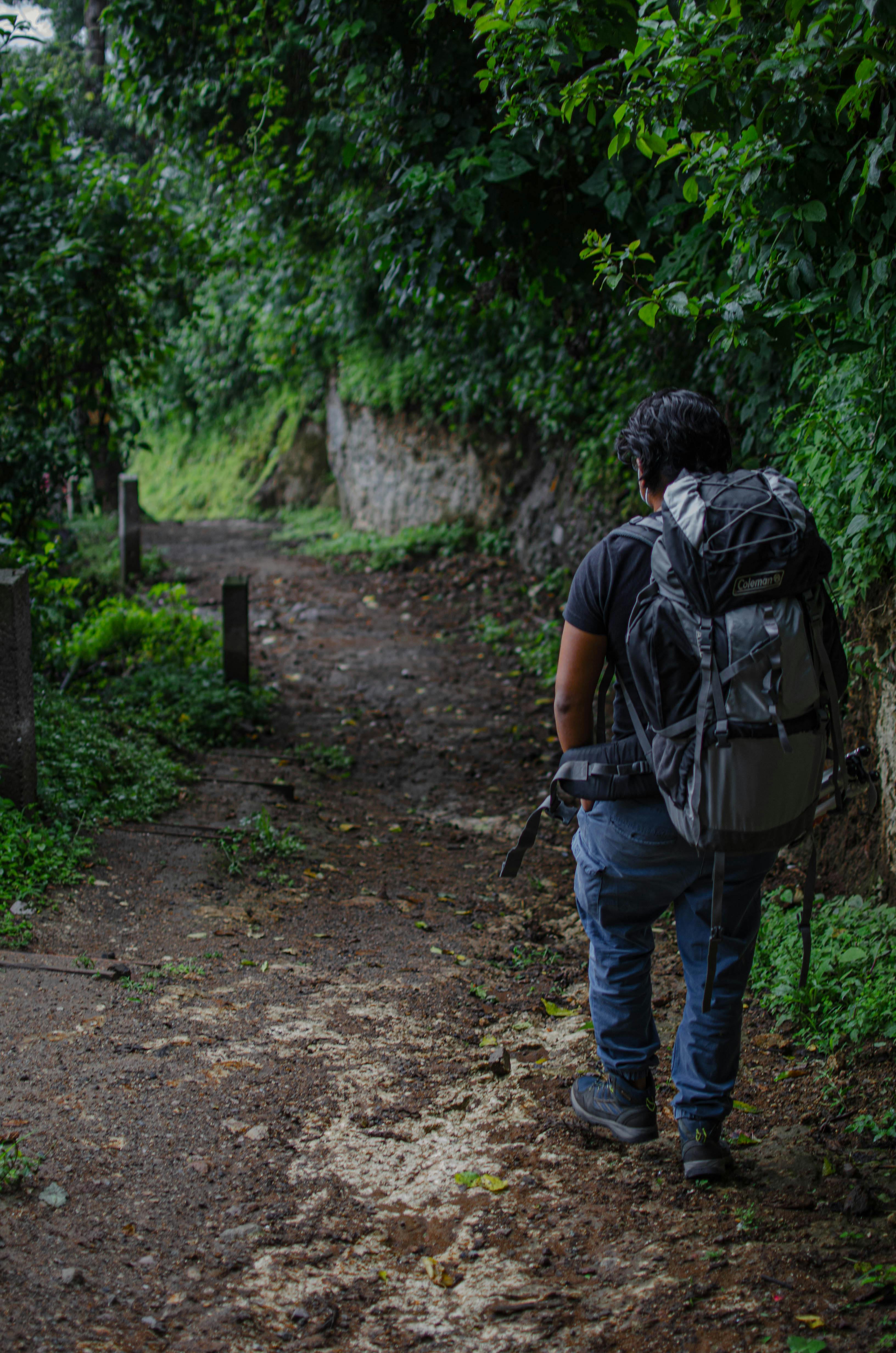 Back View of Man Wearing Backpack · Free Stock Photo