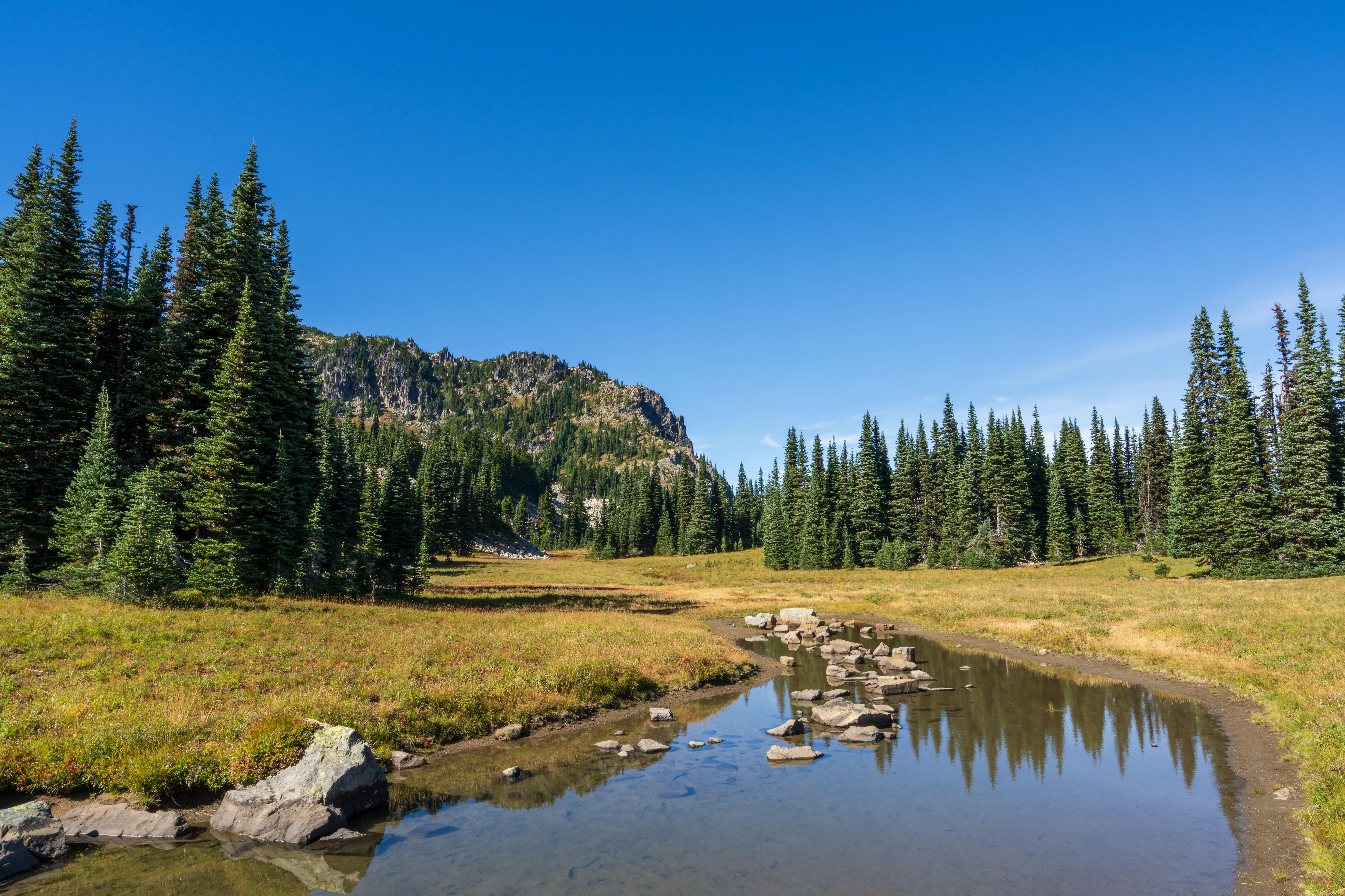 Swamp Mountain Photos, Download The BEST Free Swamp Mountain Stock ...