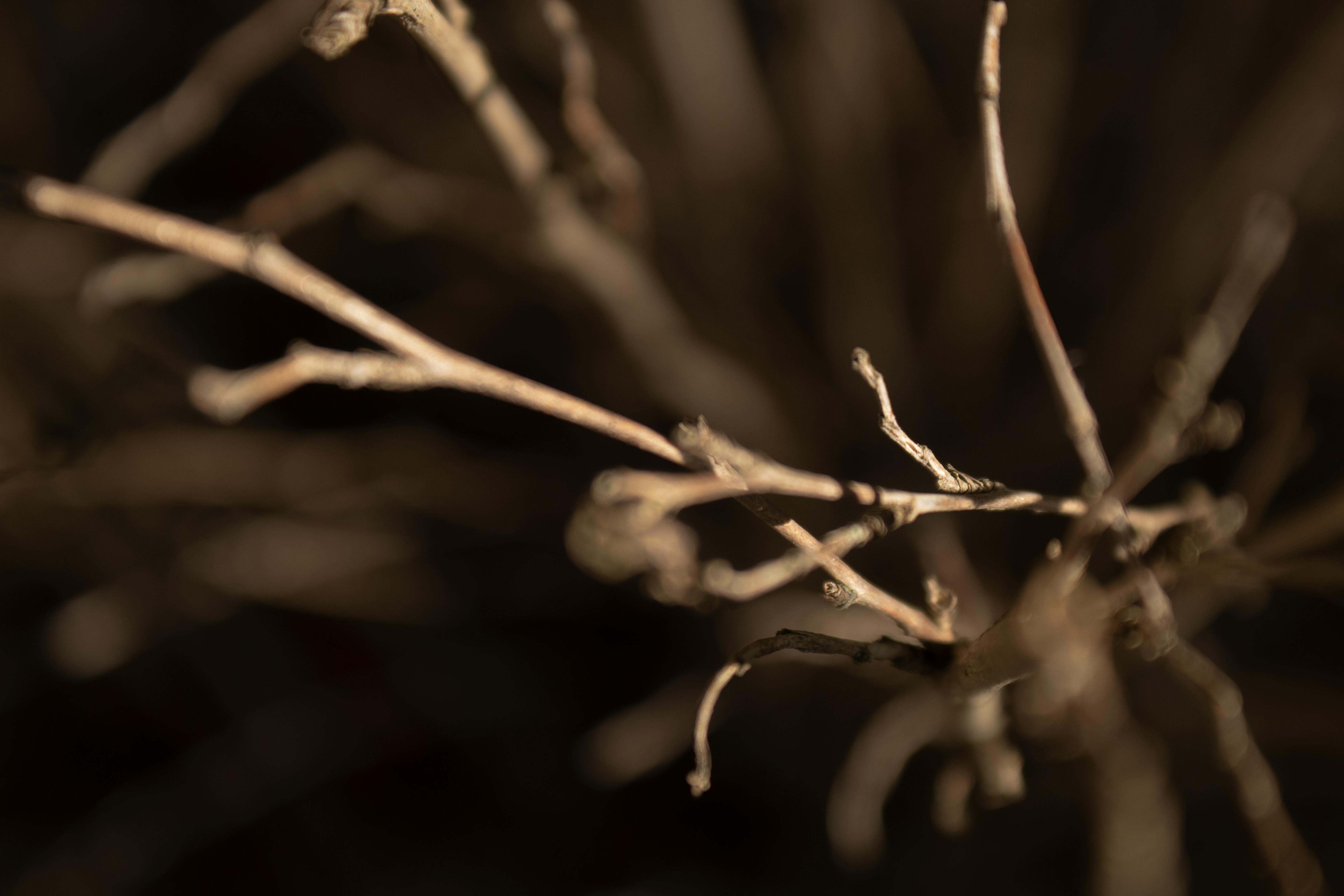 Autumn Aesthetic 5 Photos & Videos Collected by Matthew Slovinsky