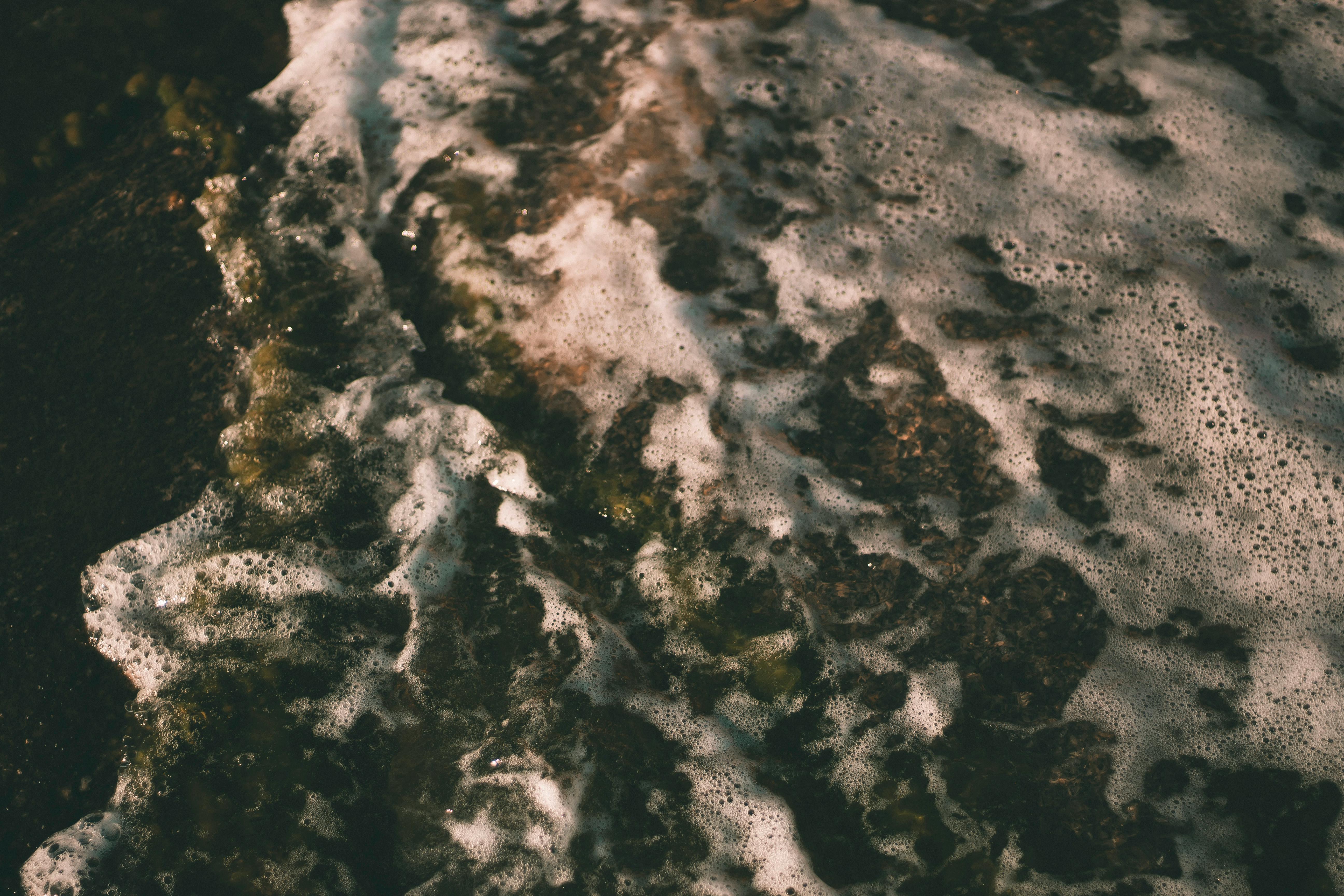 Seafoam in Close-up Photography · Free Stock Photo