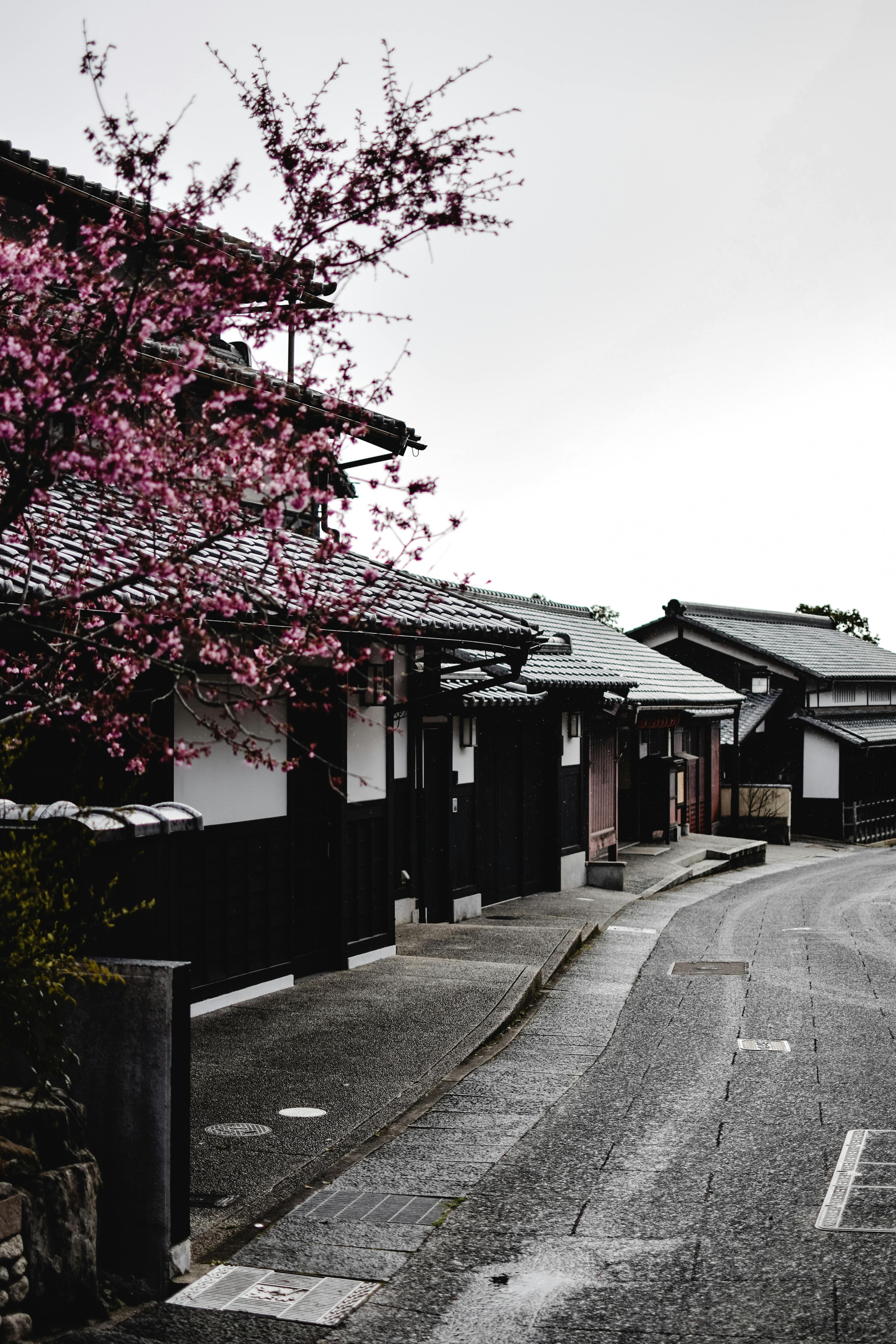 Empty Road Between Houses · Free Stock Photo
