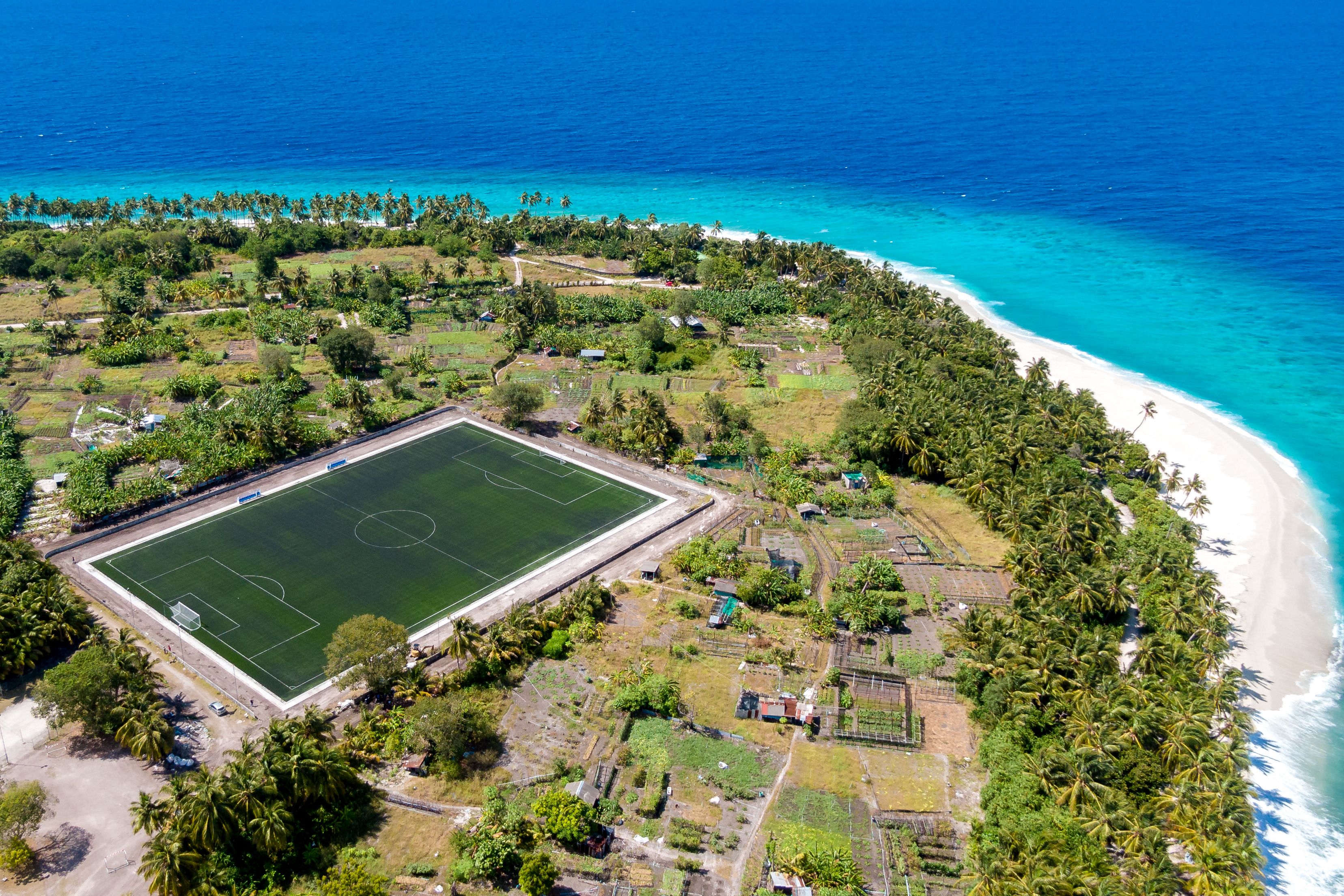 Green Tropical Resort on Ocean Seashore · Free Stock Photo