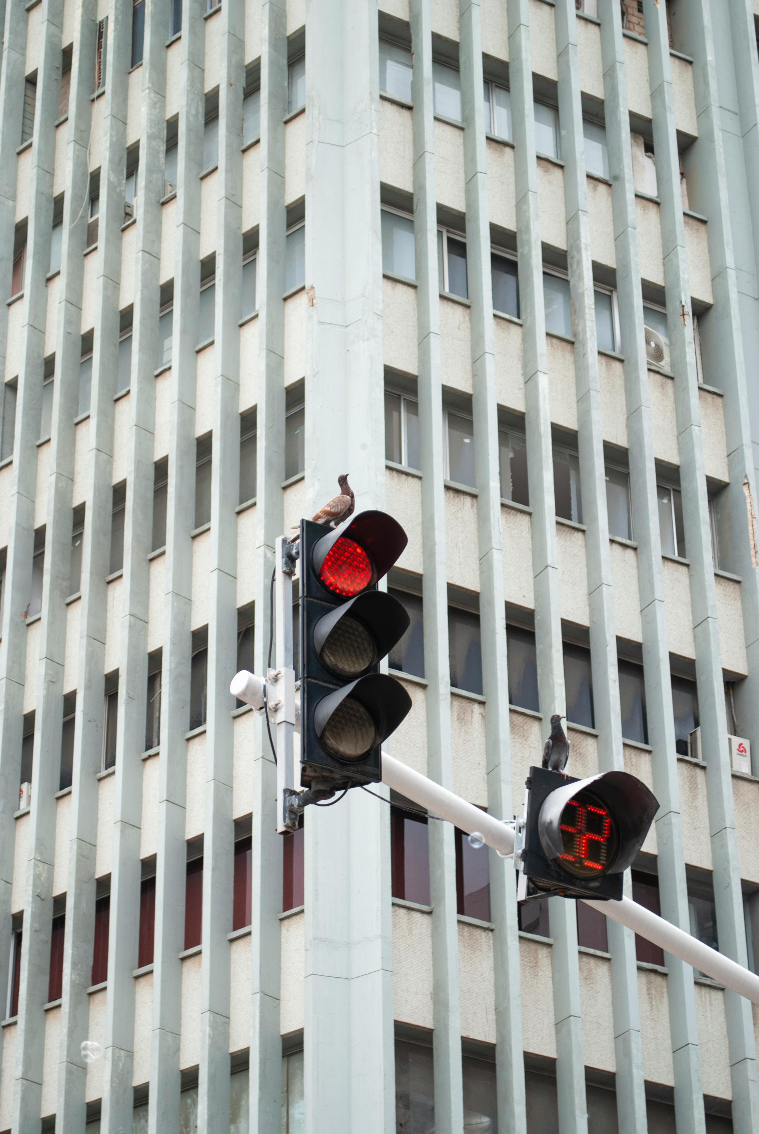 Traffic Light Turned Red · Free Stock Photo