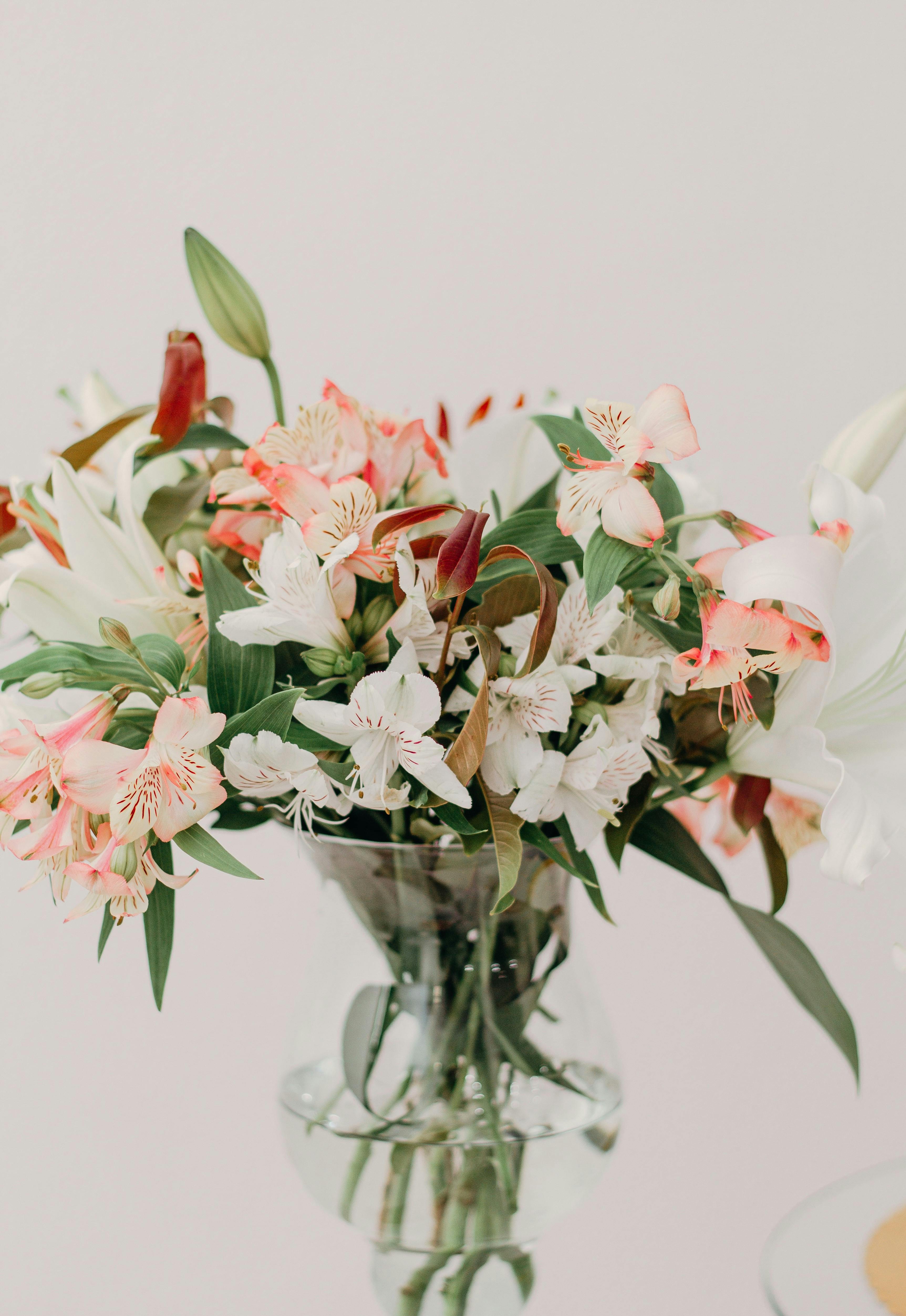 Close-Up Shot of Flowers in a Vase · Free Stock Photo