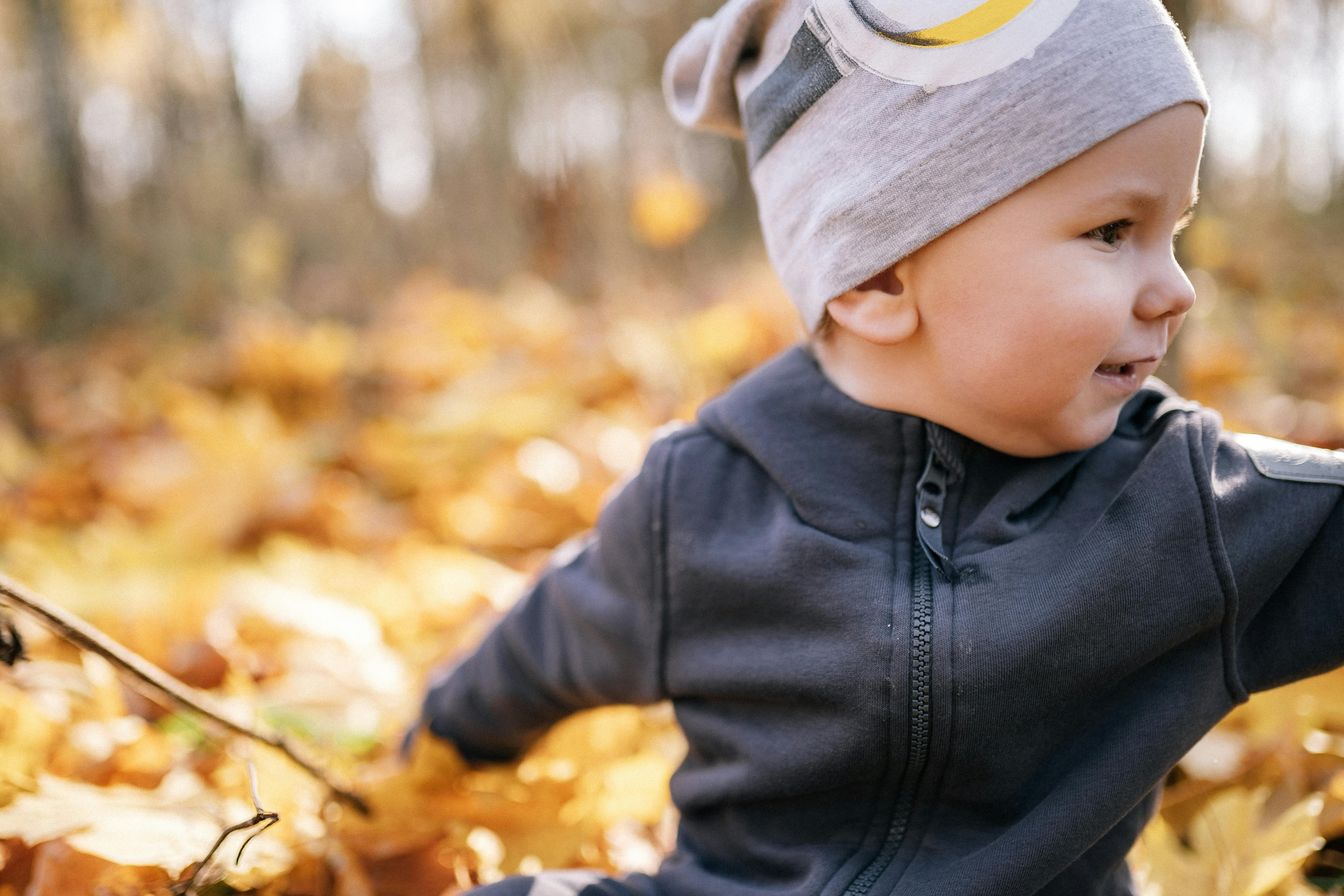 Leves Photos, Download The BEST Free Leves Stock Photos & HD Images