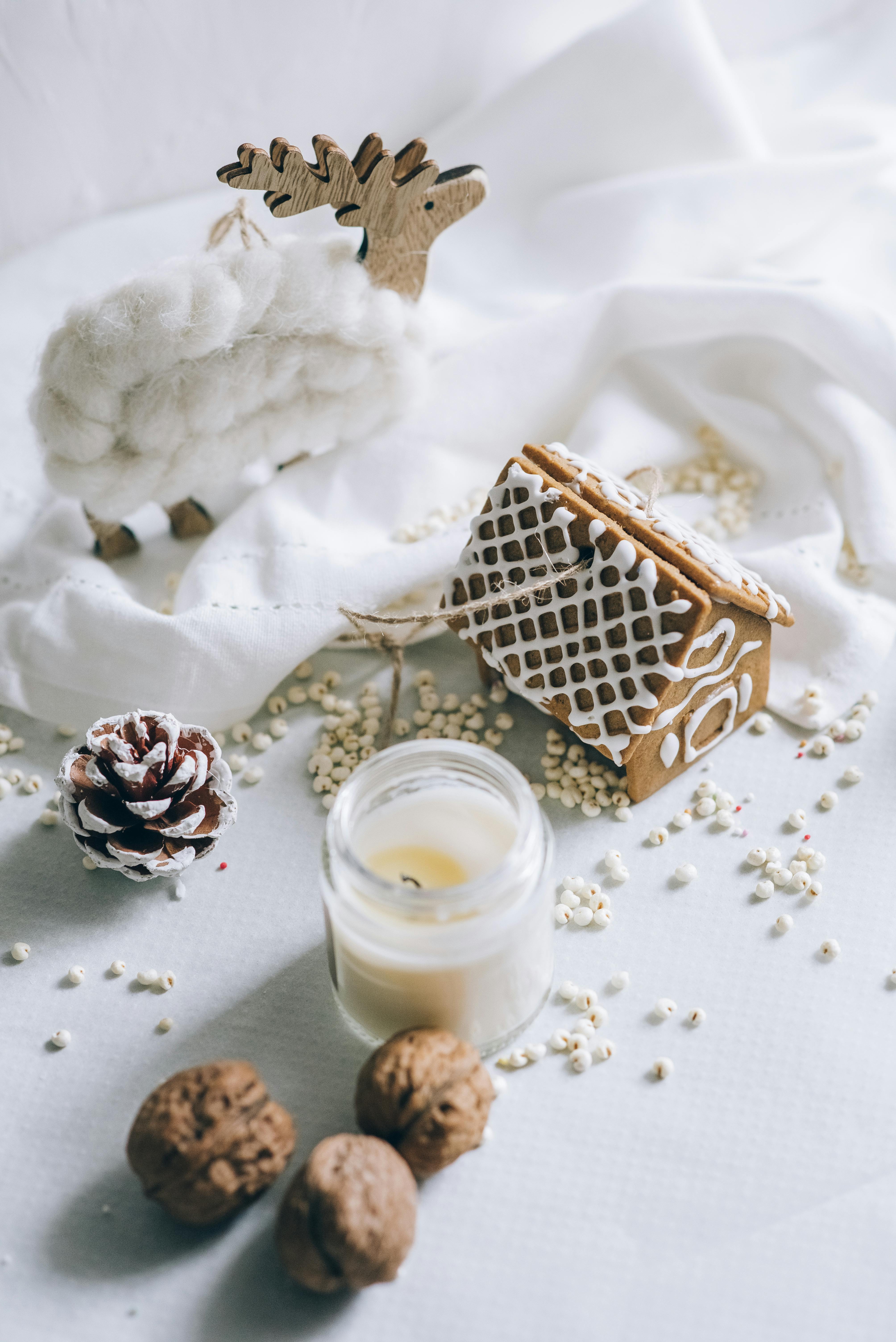 Conifer Cone Photos, Download The BEST Free Conifer Cone Stock Photos ...