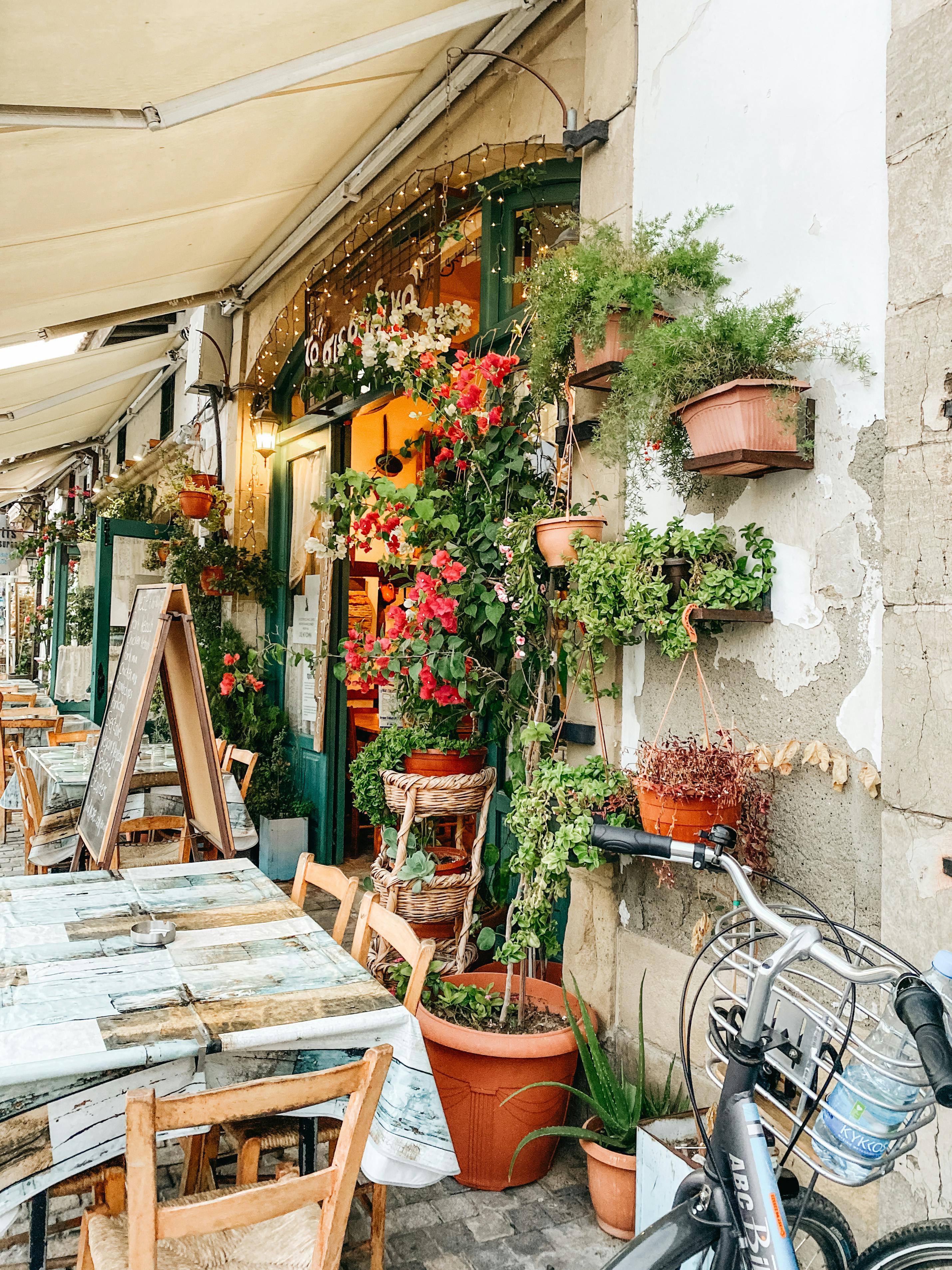 Flourish Photos, Download The BEST Free Flourish Stock Photos & HD Images