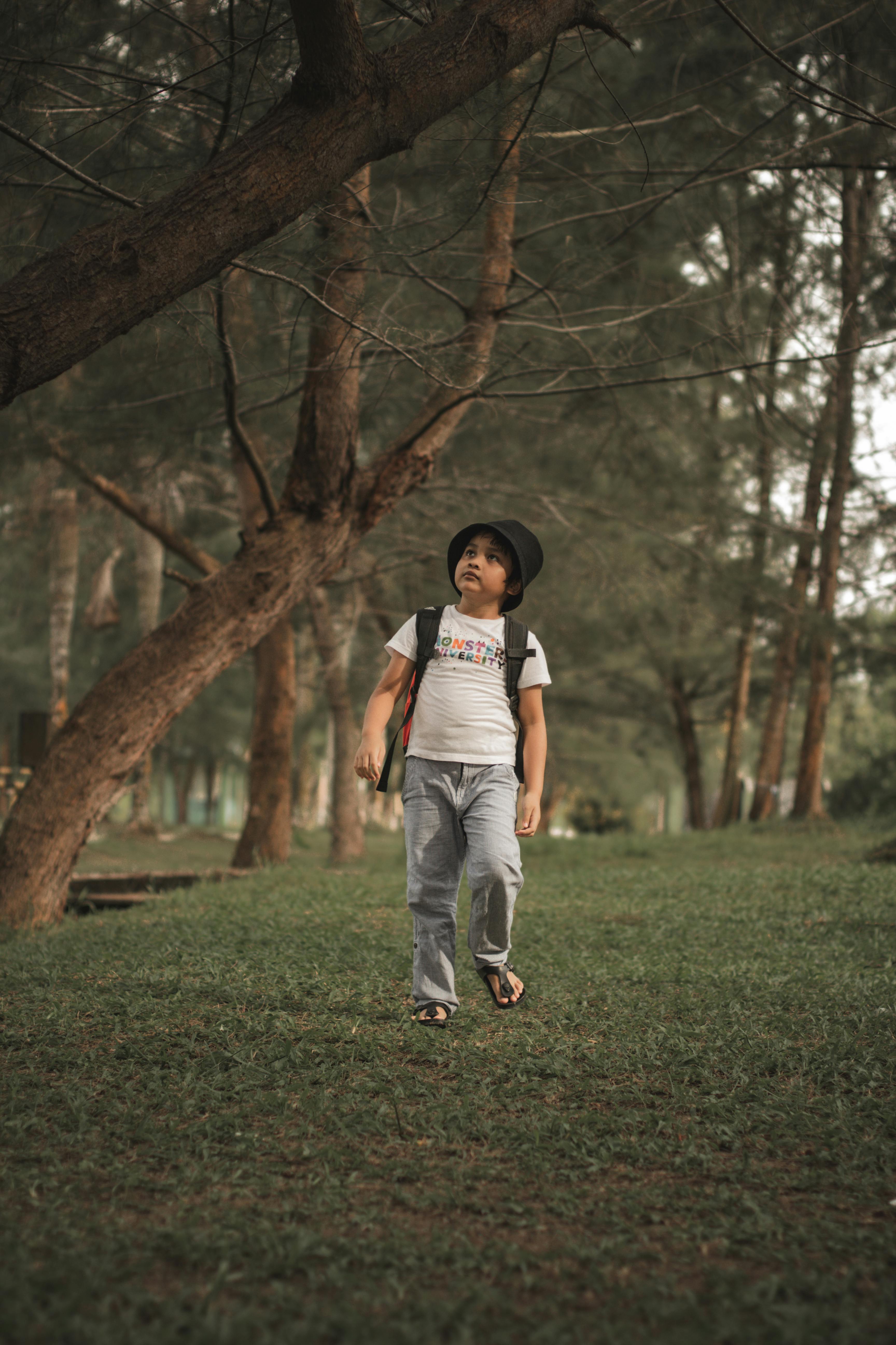 Law Tree Photos, Download The BEST Free Law Tree Stock Photos & HD Images