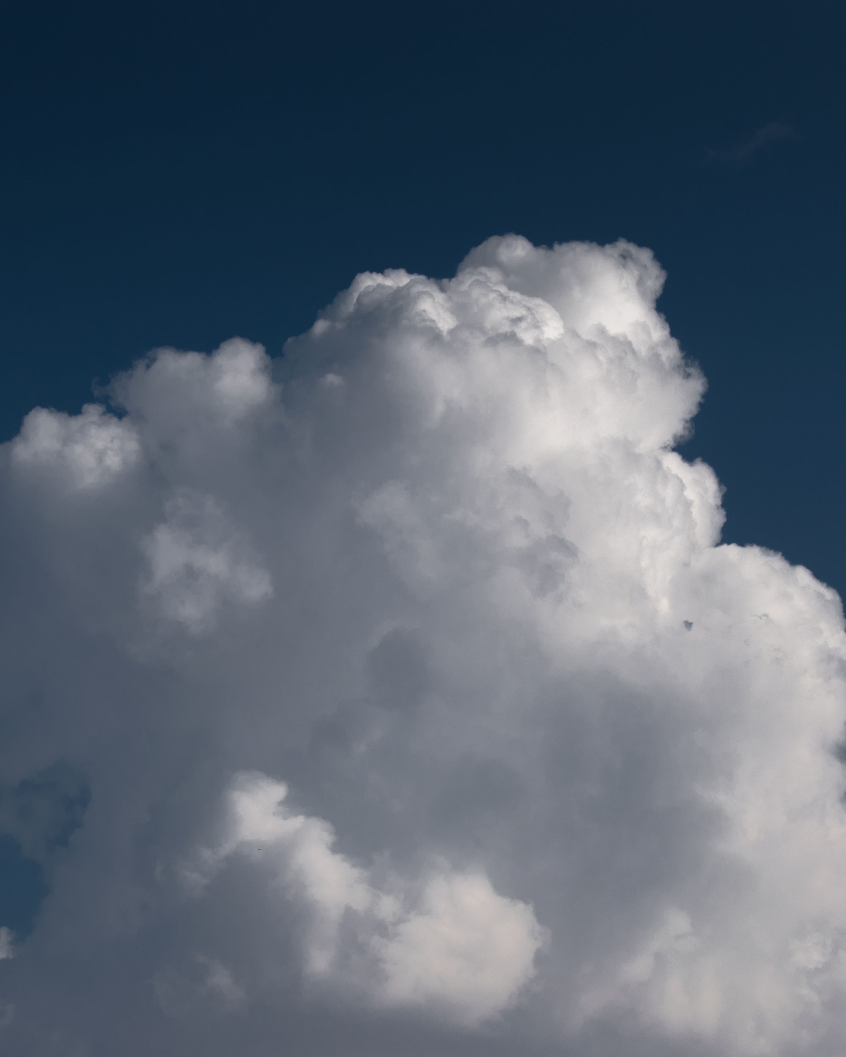 Cloud White Background Photos, Download The BEST Free Cloud White ...