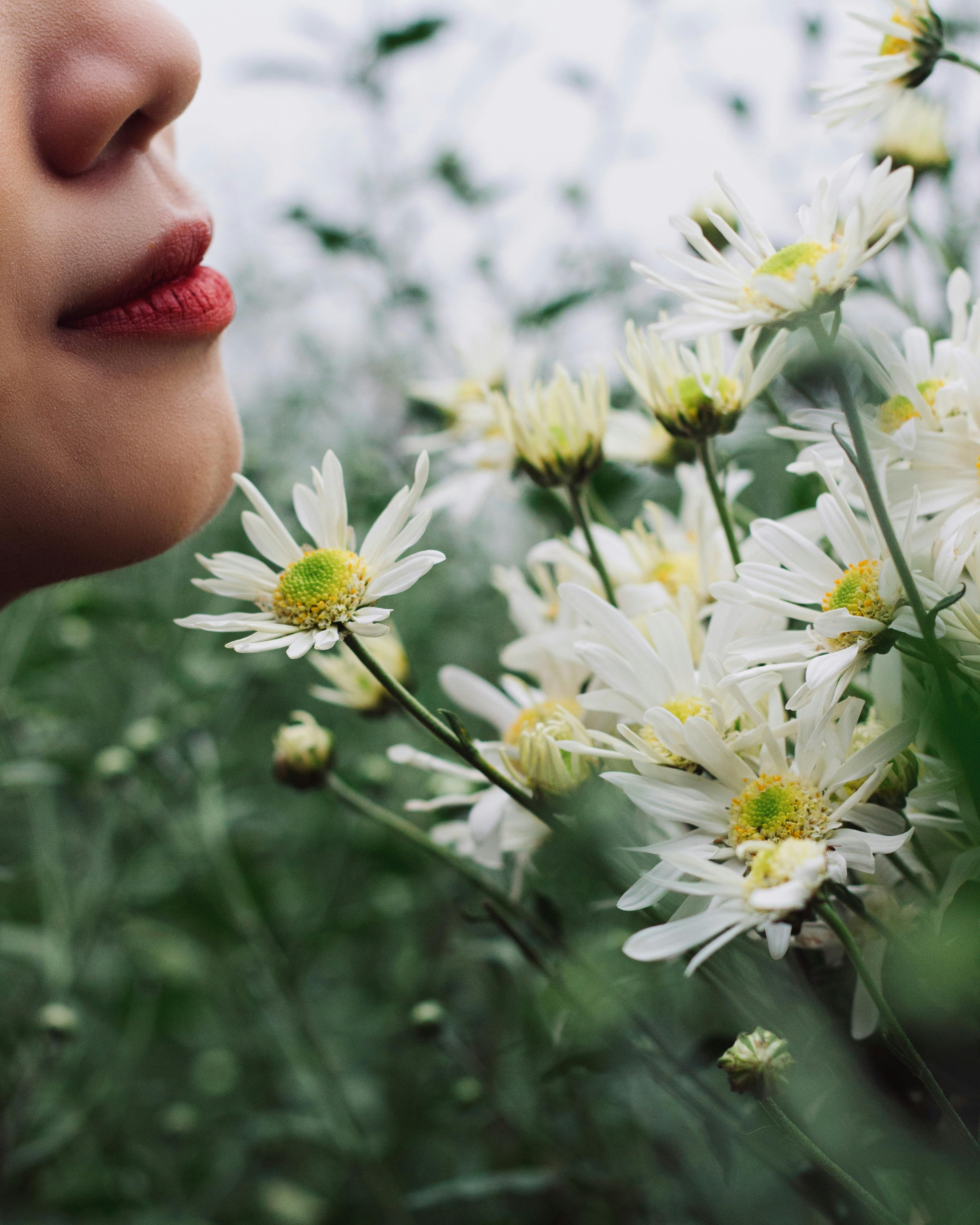 Fresh Mouth Smell Photos, Download The BEST Free Fresh Mouth Smell ...