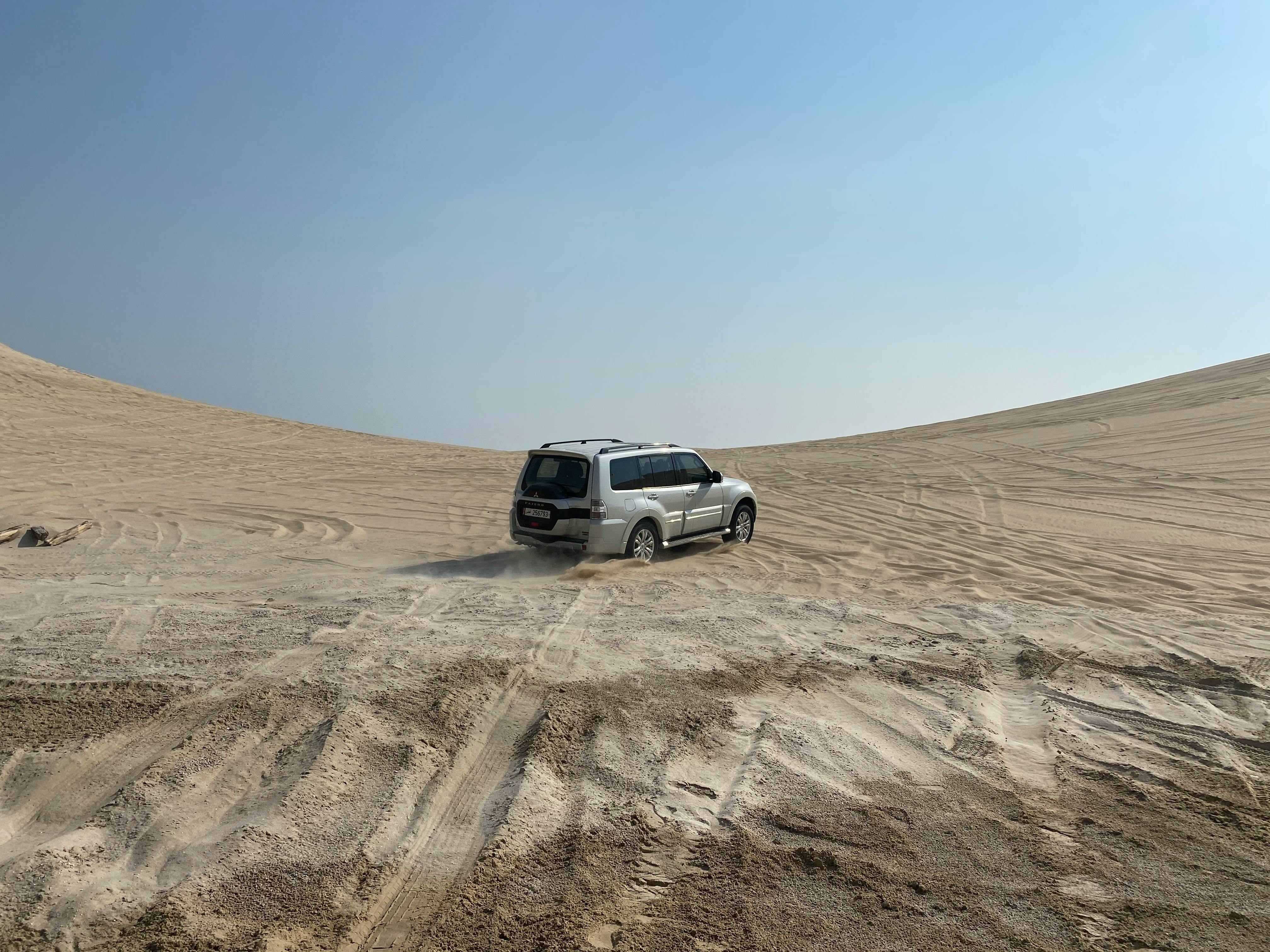 Fish Driving Photos, Download The BEST Free Fish Driving Stock Photos ...