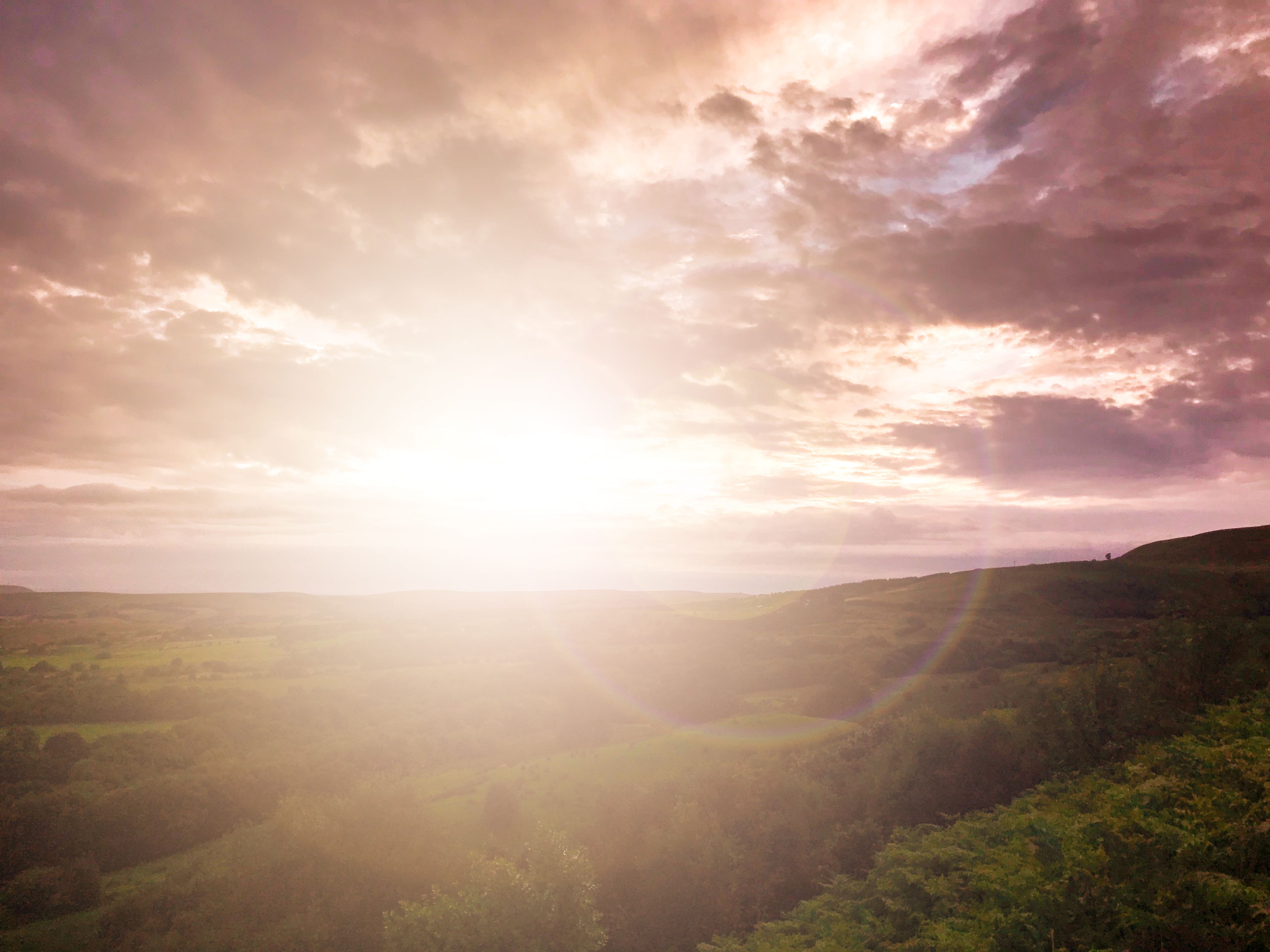 Free stock photo of bush, camera lens, cloud