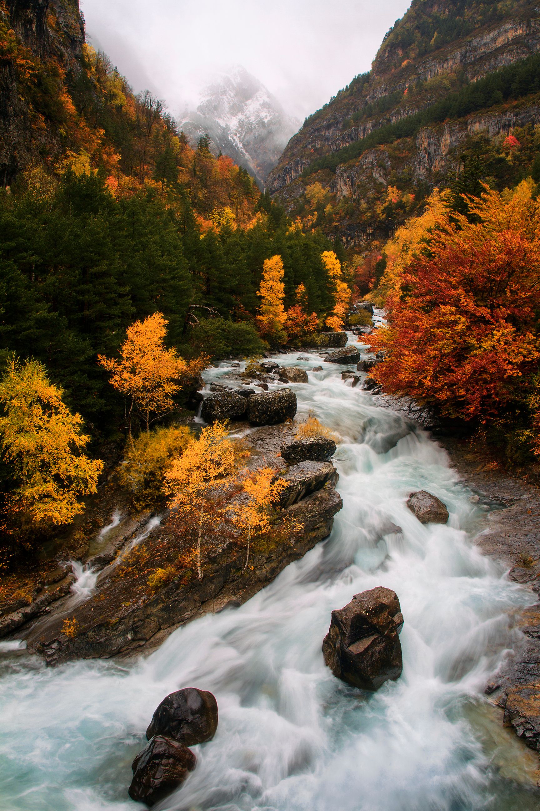 A River in the Mountains · Free Stock Photo