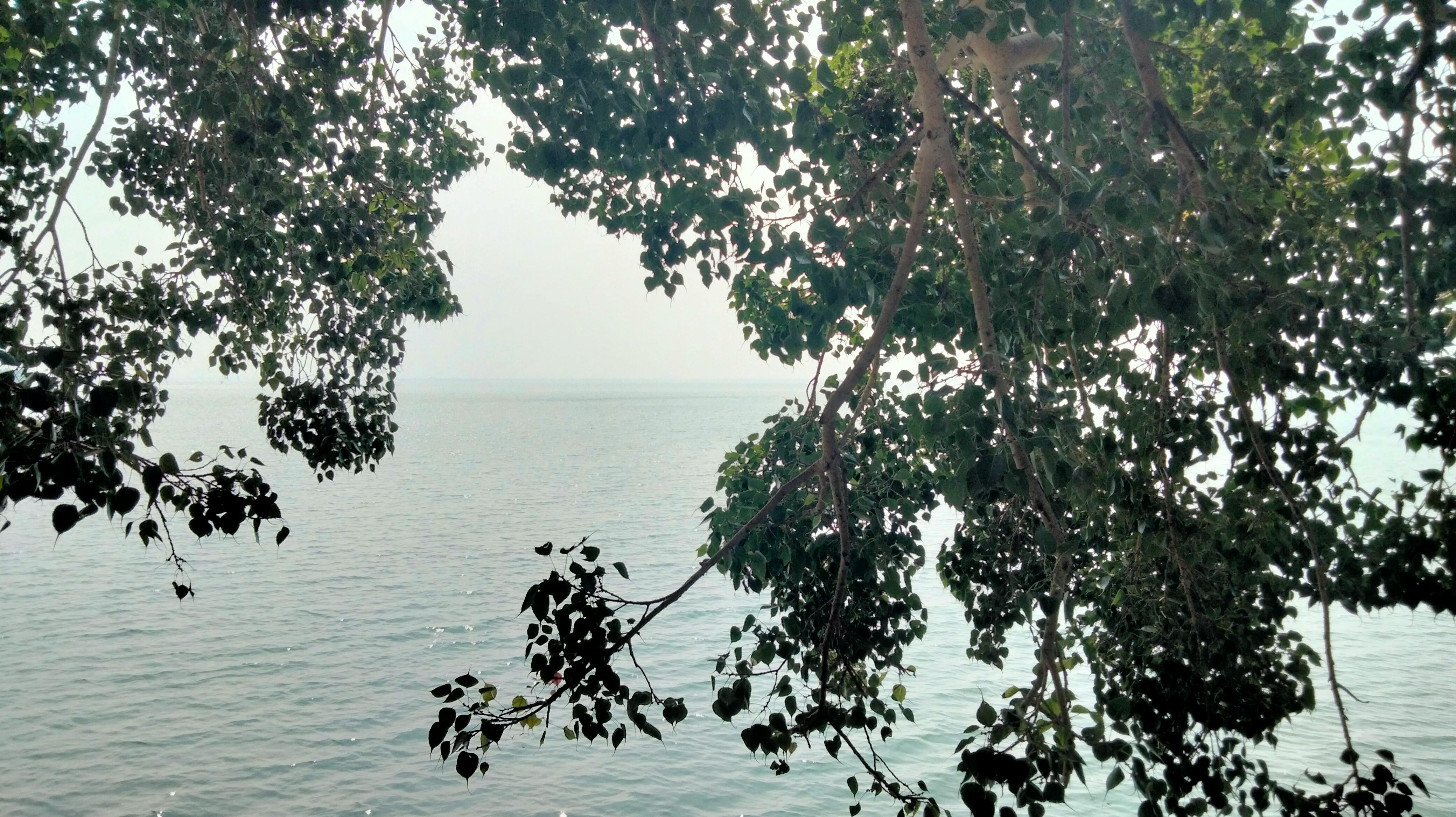 InstaSnap Photobooth | Capture Magical Moments