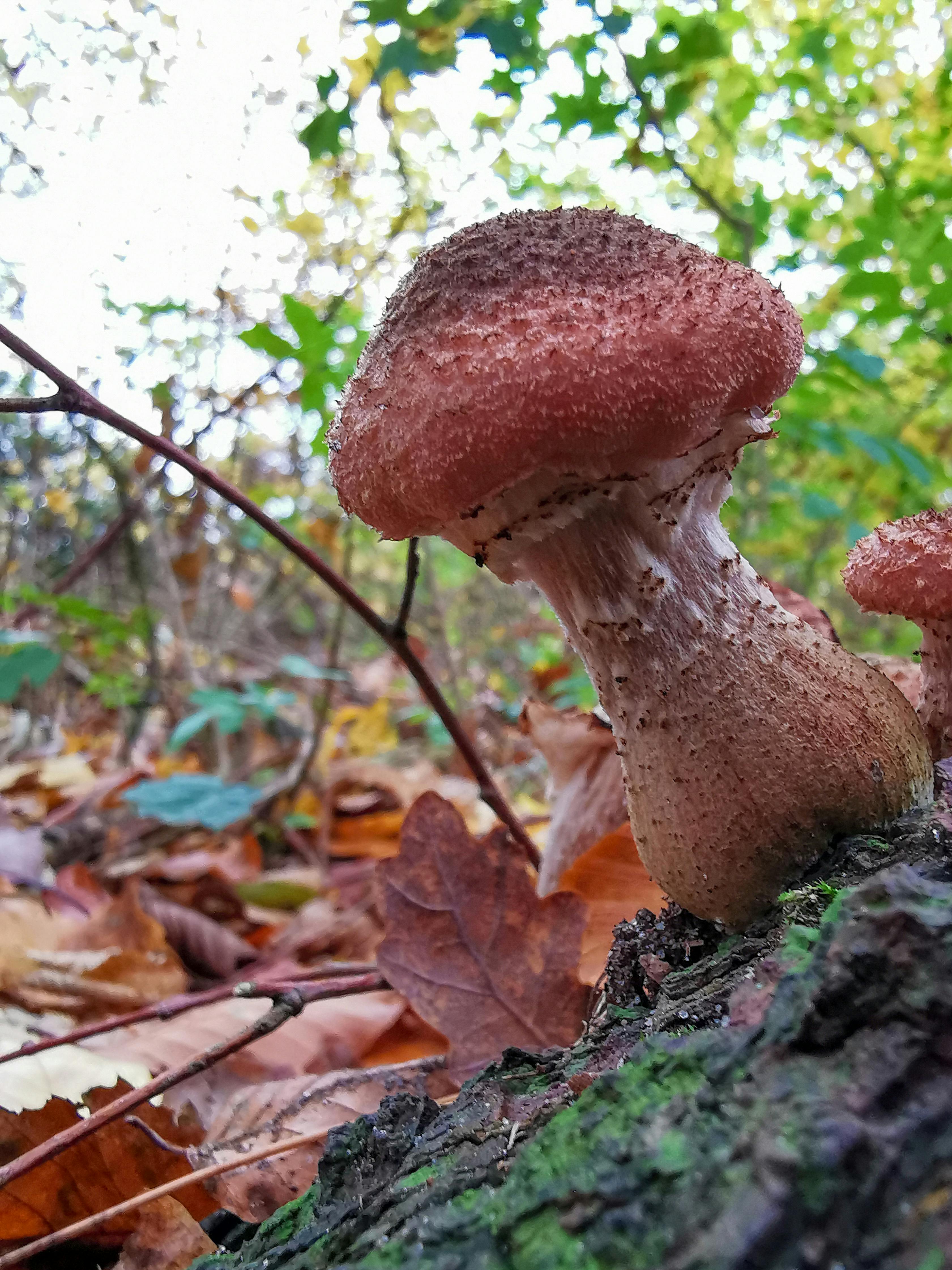 InstaSnap Photobooth | Capture Magical Moments