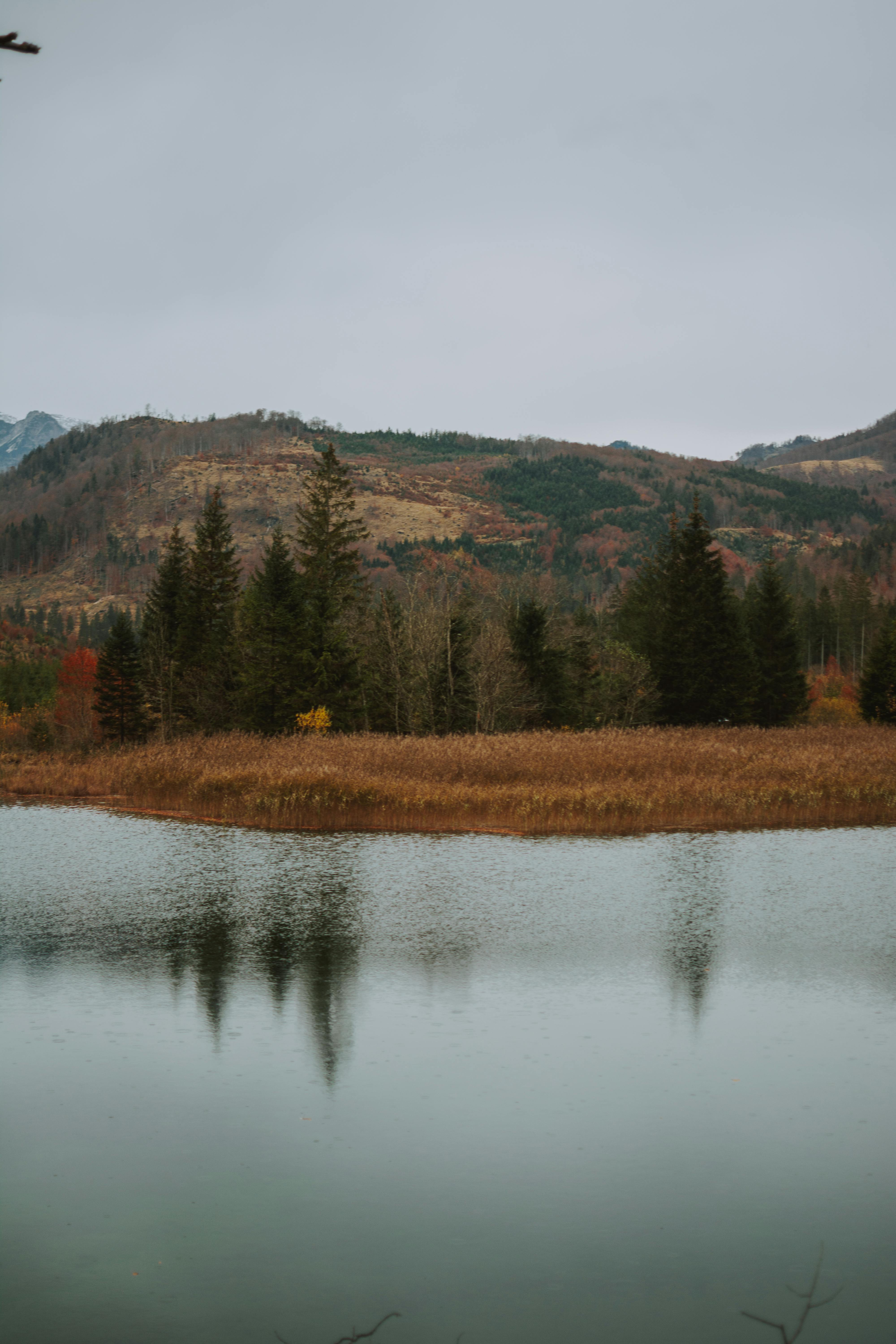 Pine Tree Lake Photos, Download The BEST Free Pine Tree Lake Stock ...