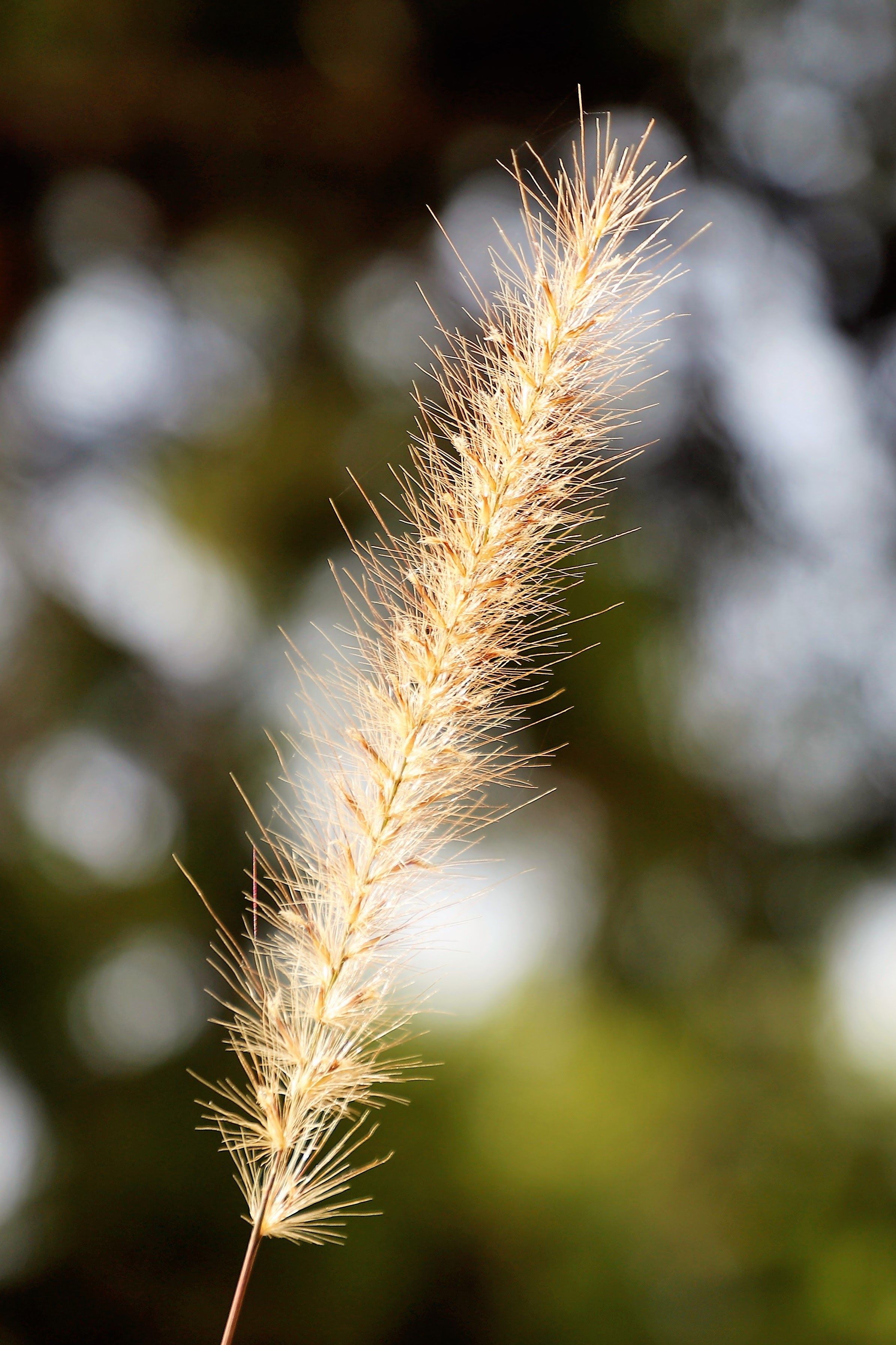 Close Up Photo of Axe · Free Stock Photo