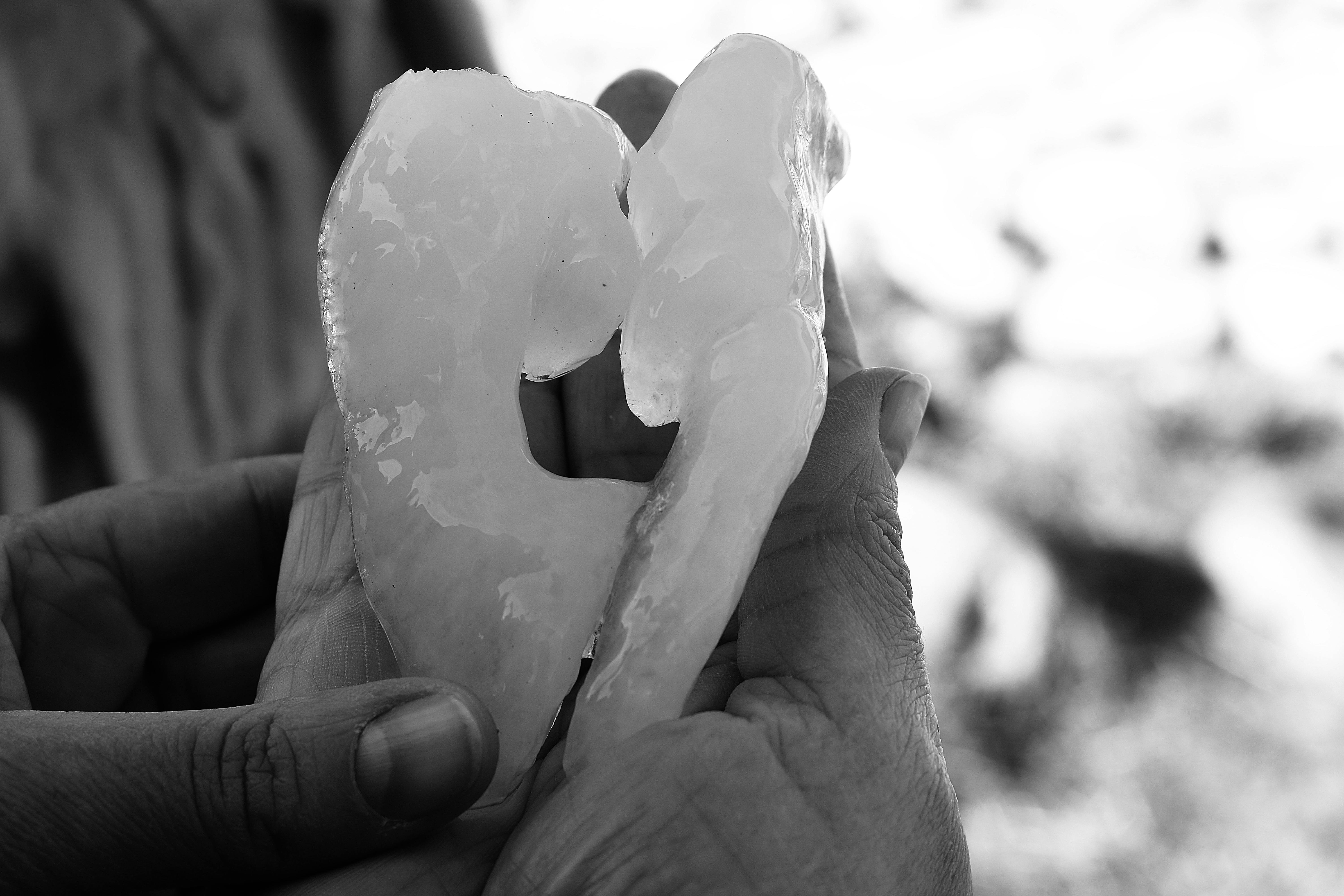 Petcu Cristiana - Photography