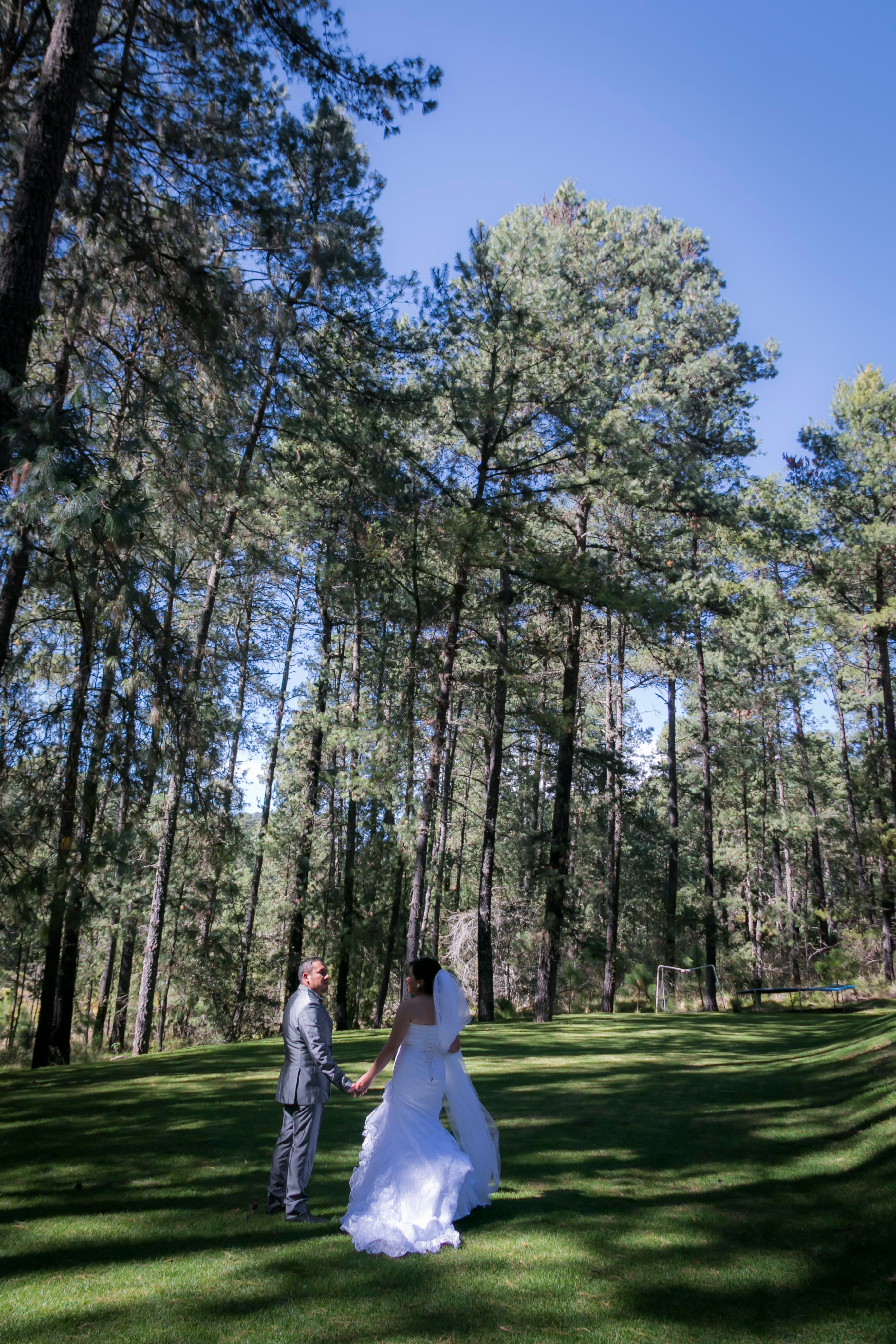 Two People Getting Married · Free Stock Photo
