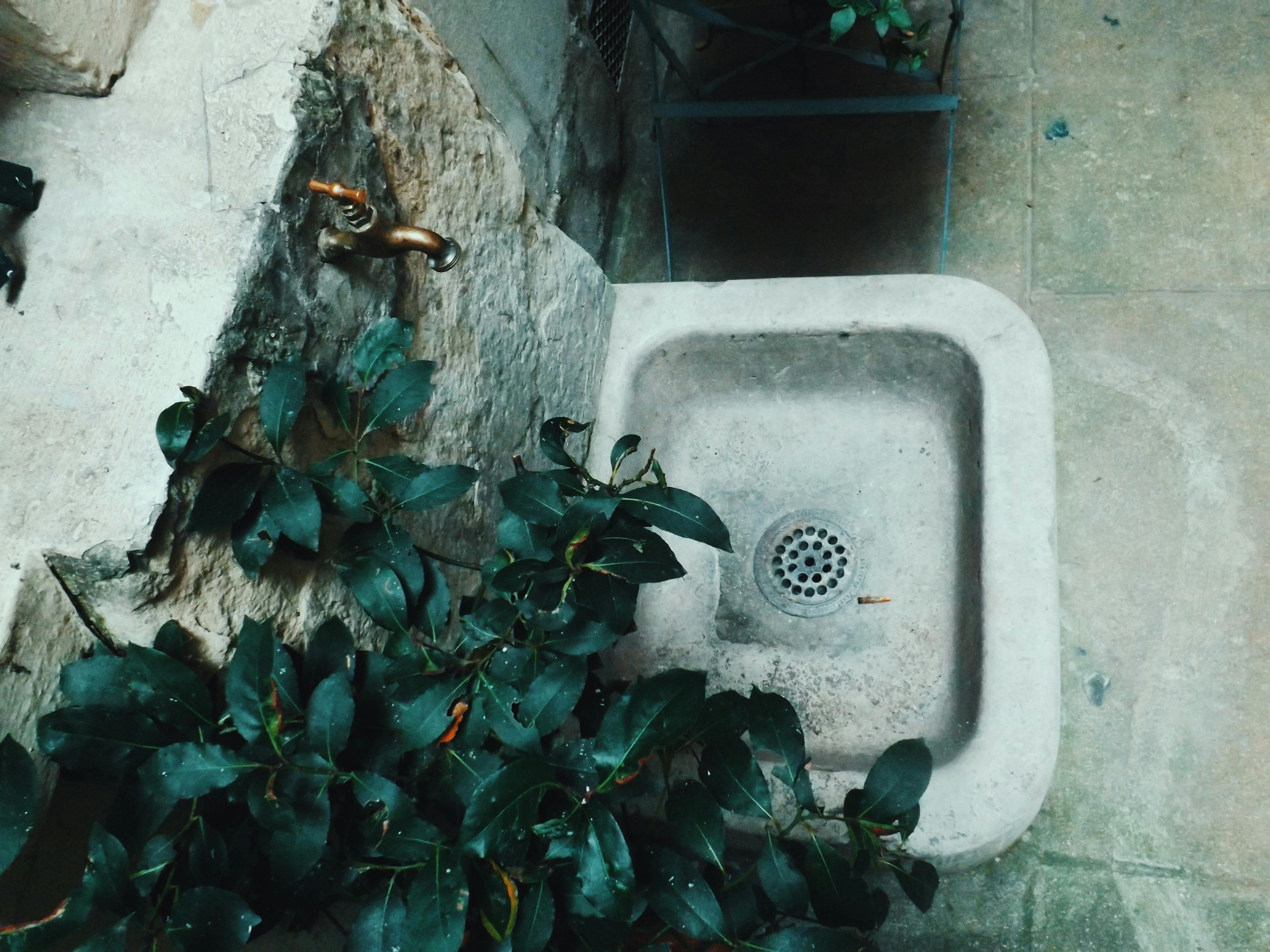 Margo White - Photography