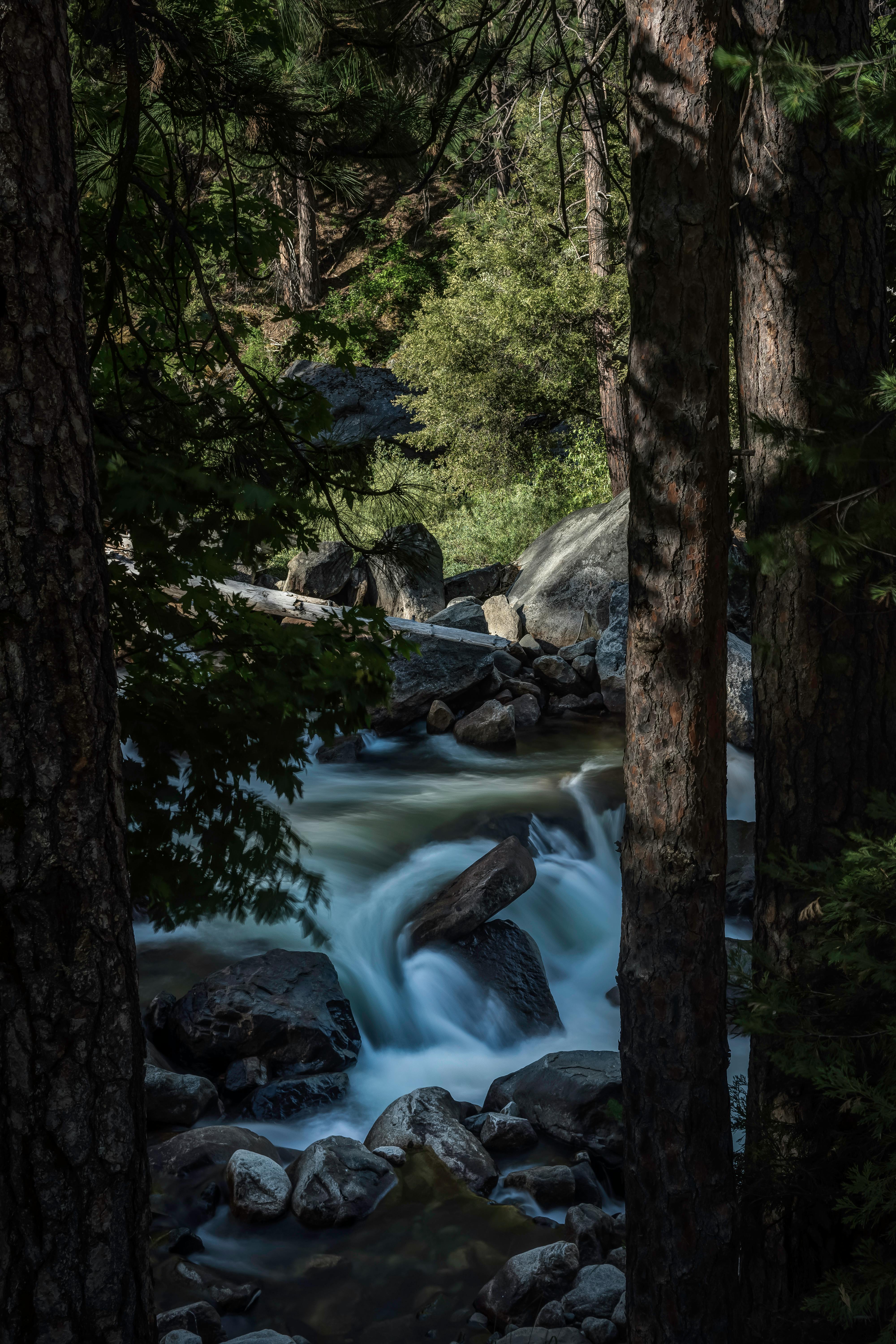 Water Stream · Free Stock Photo