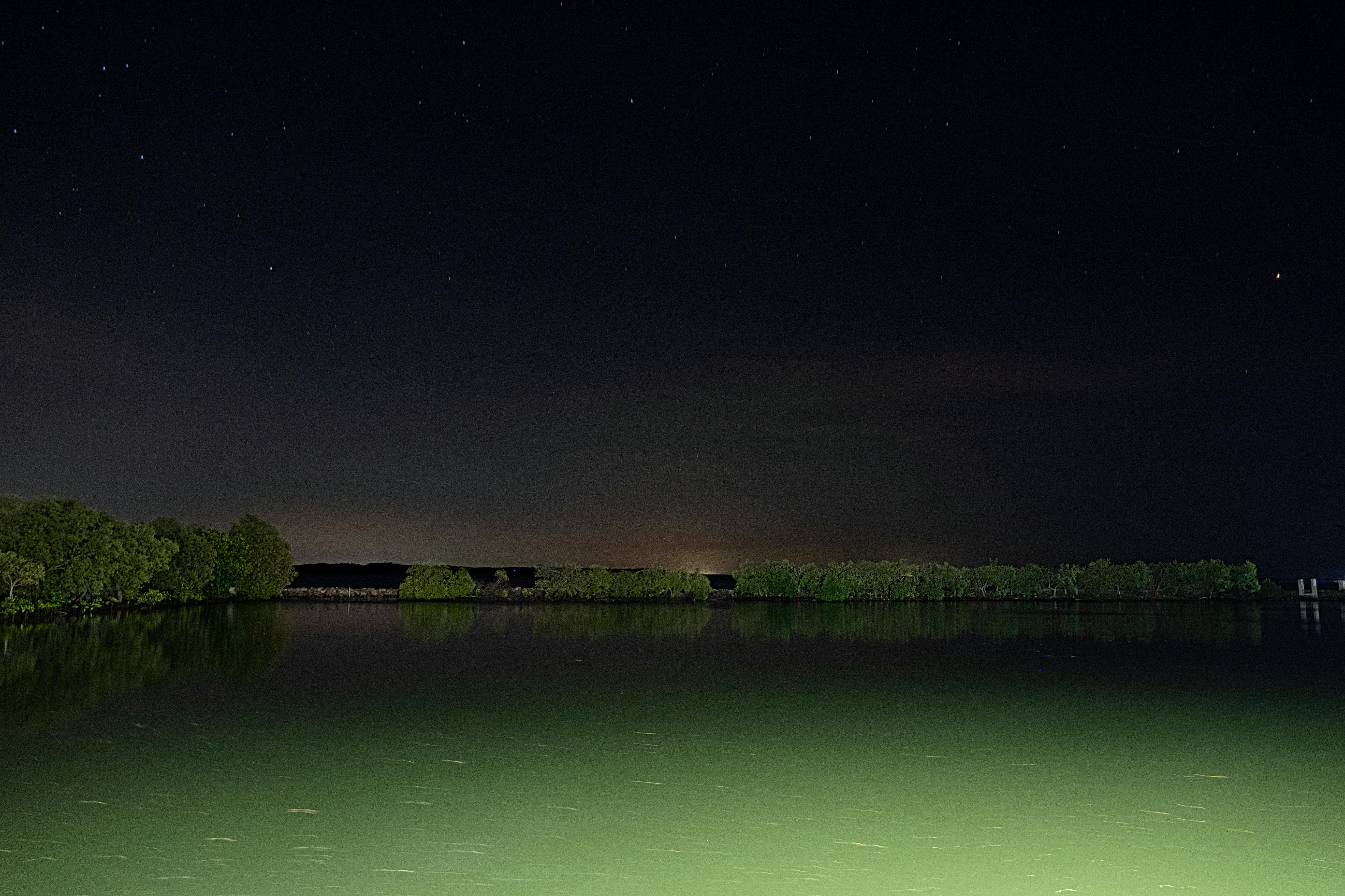 Green pond against trees under dark sky at night · Free Stock Photo