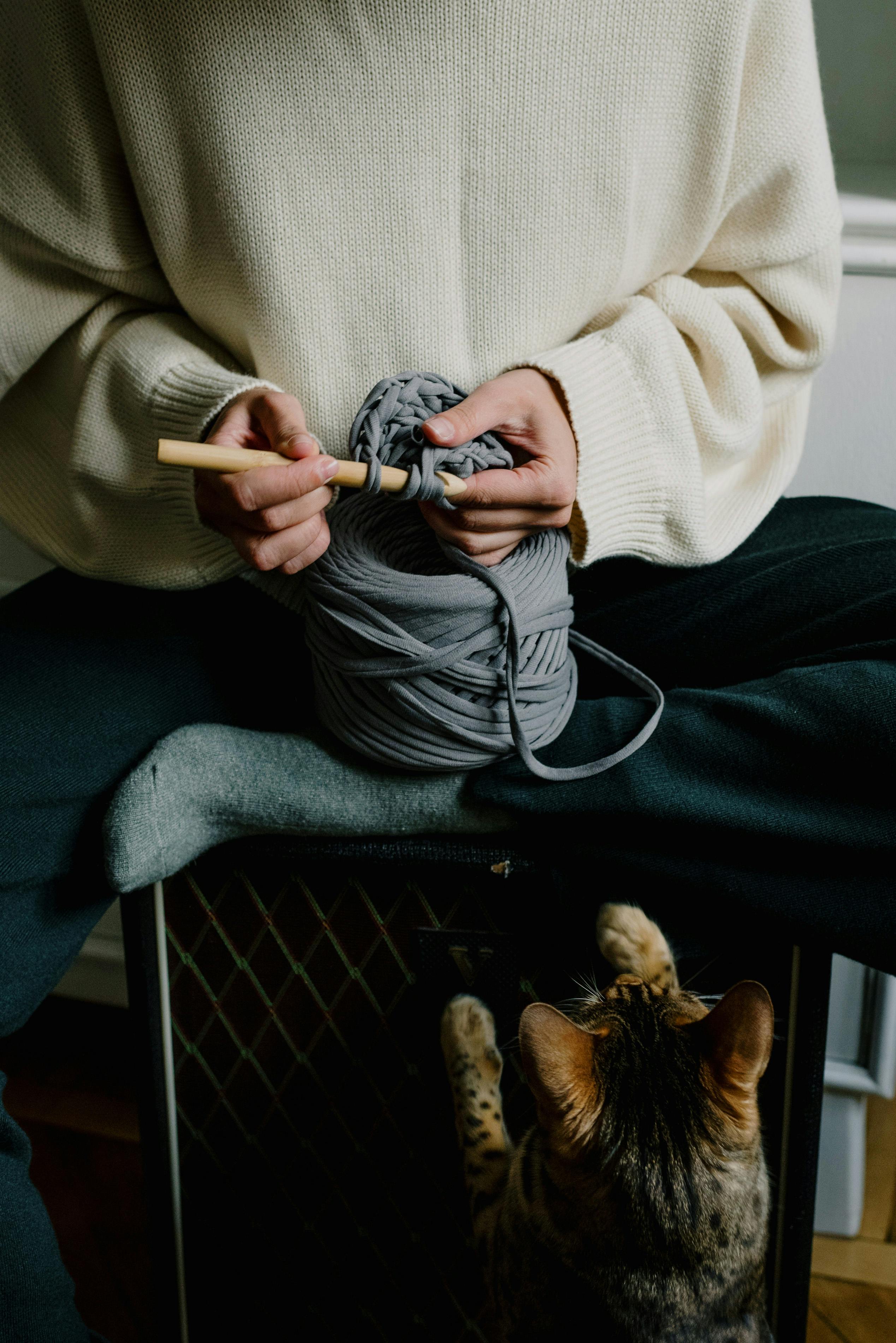 Kitten Behavior Photos, Download The BEST Free Kitten Behavior Stock ...