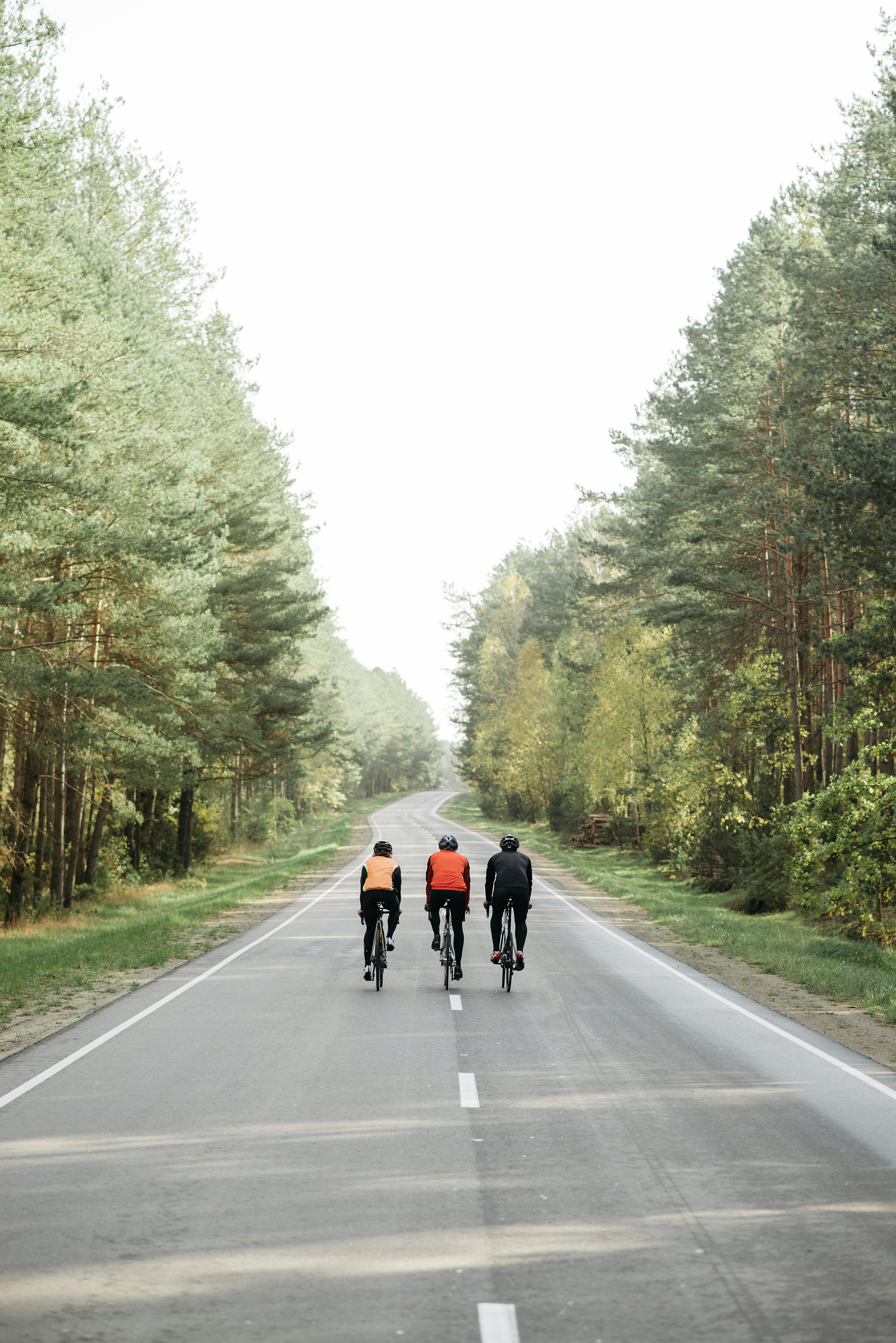 People Riding Bicycle on Road Near Trees · Free Stock Photo