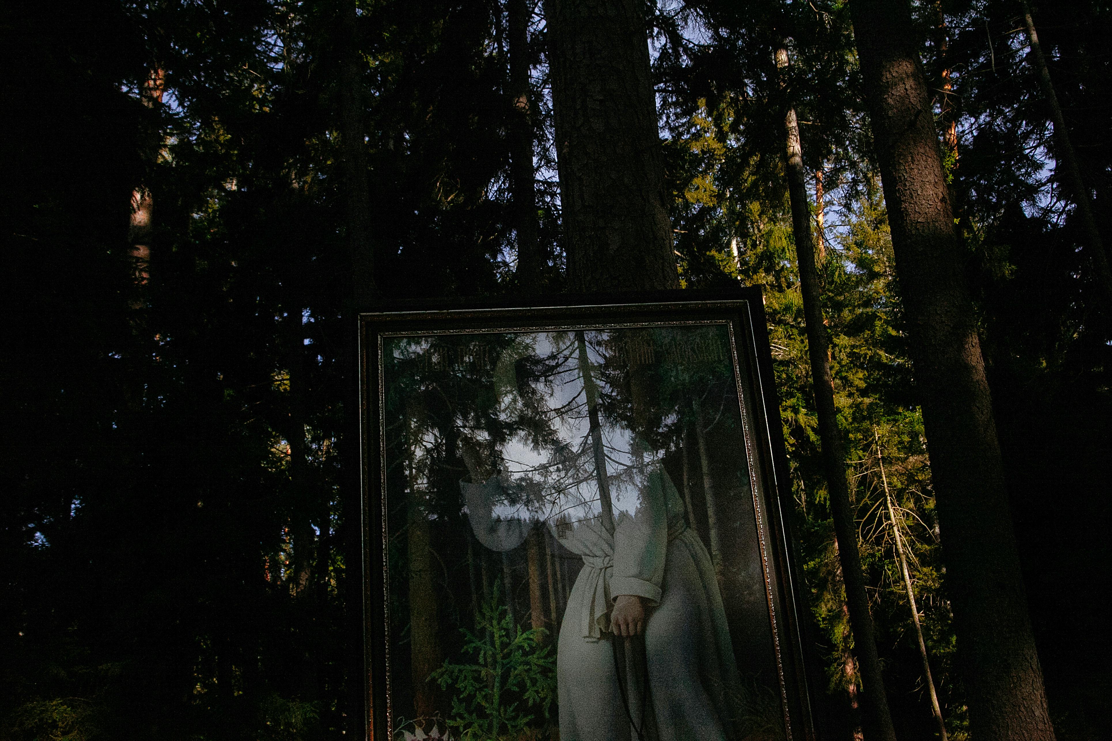 Evergreen Frames Photos, Download The BEST Free Evergreen Frames Stock ...