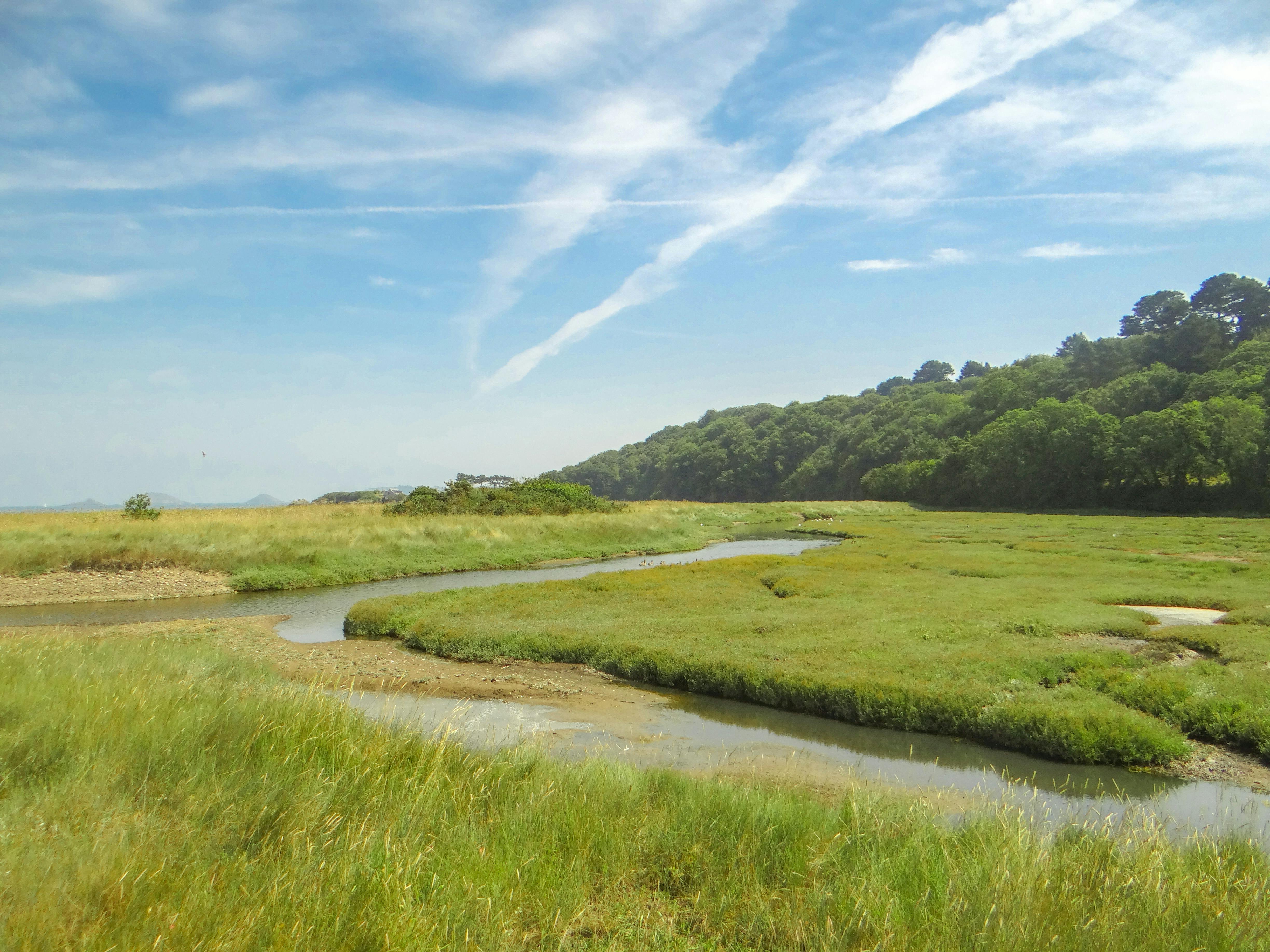 Free stock photo of bretagne, france, marsh