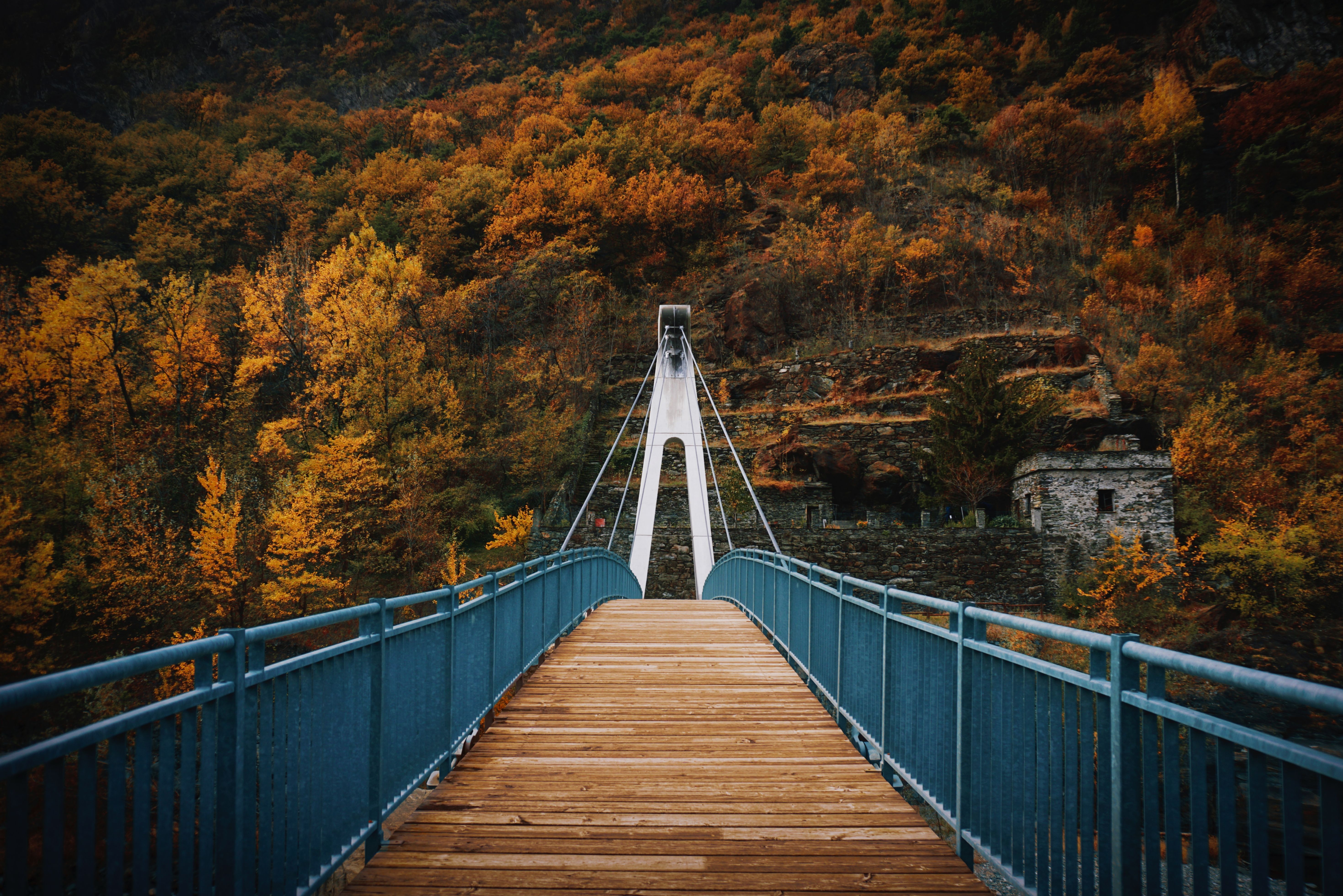 Bridge Going to the Mountains · Free Stock Photo