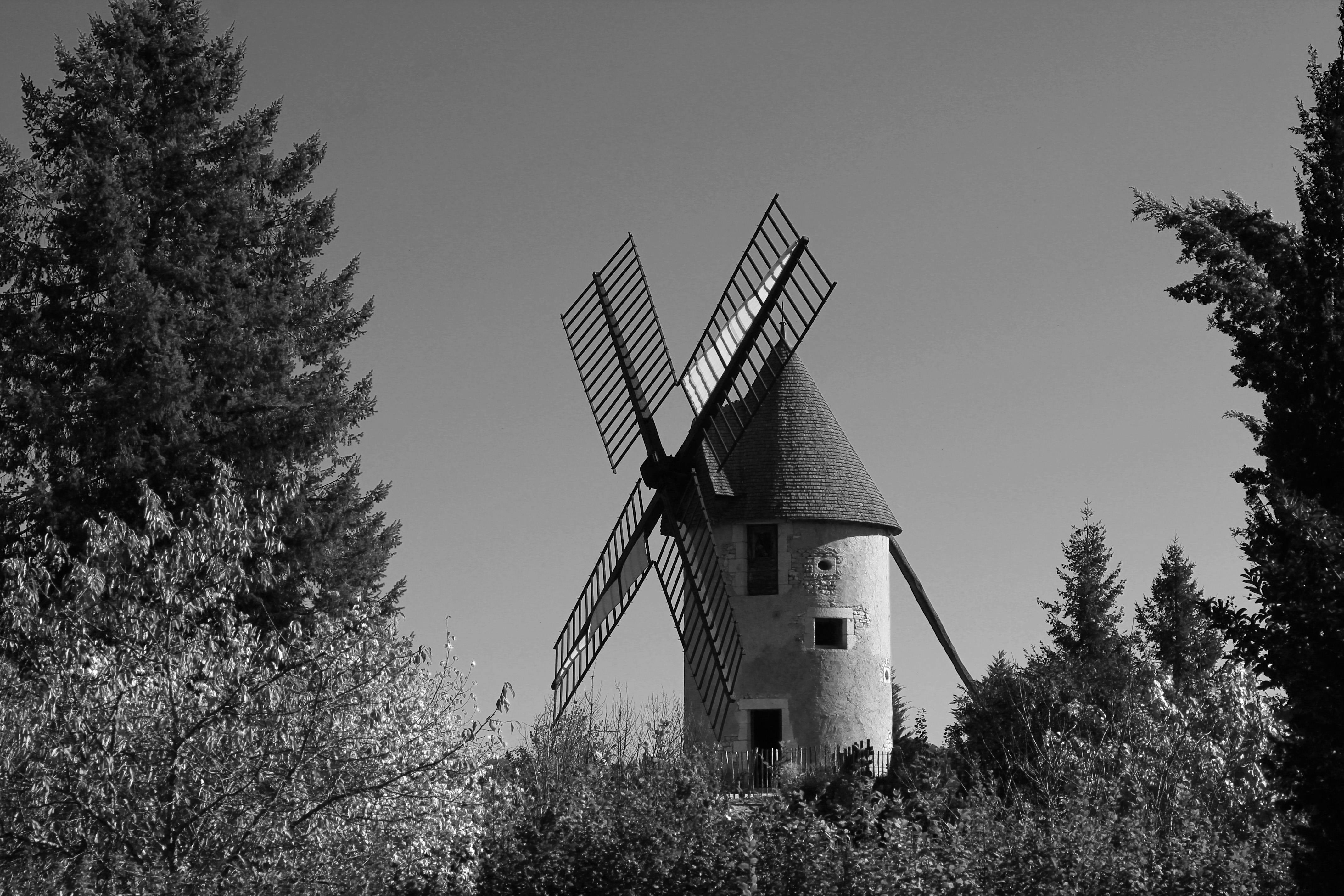 Grayscale Photo of Windmill Near Tree · Free Stock Photo
