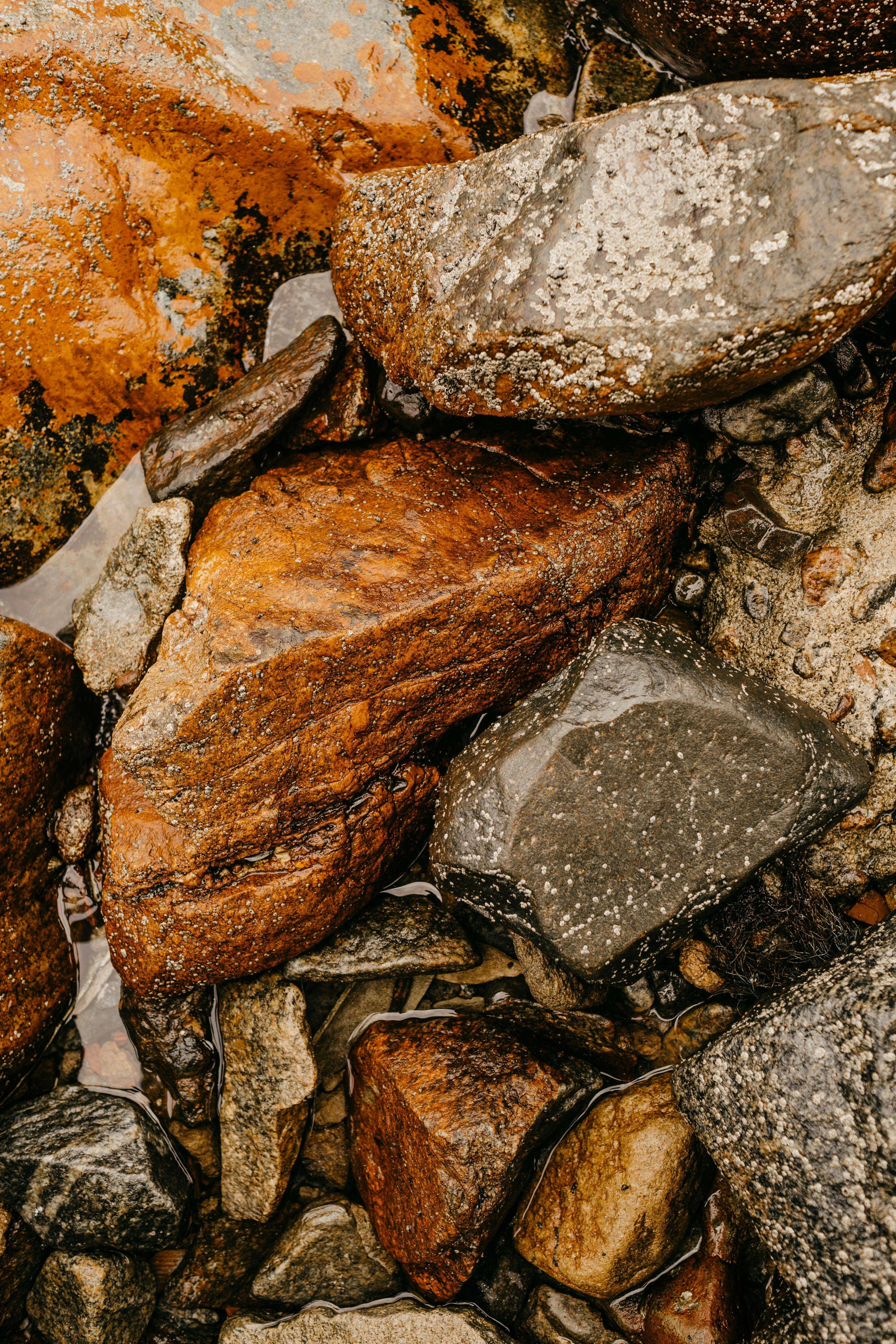 Rusty rocks on wet shore of ocean · Free Stock Photo