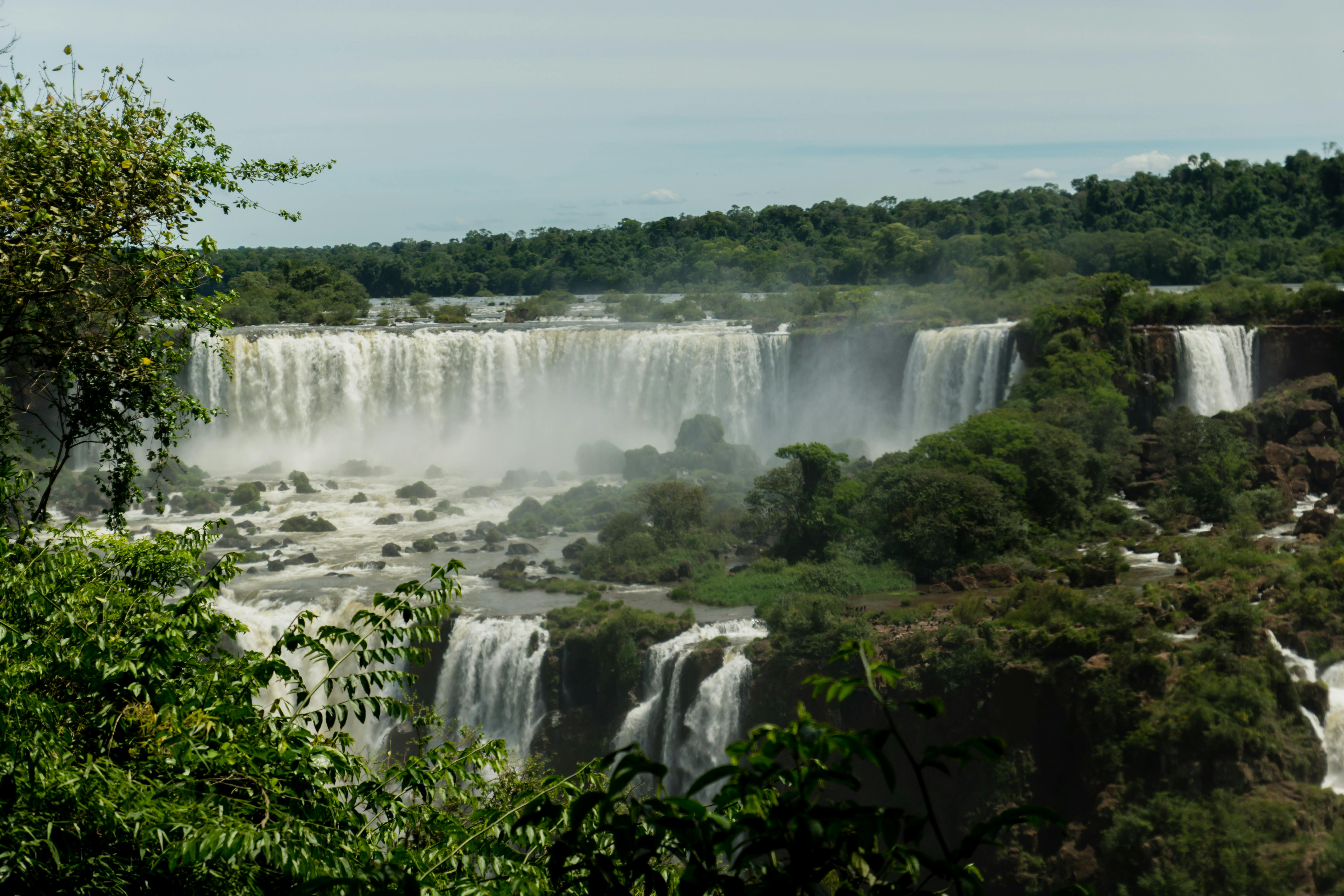 Mini Lake Surrounded by Tree during Day Time · Free Stock Photo