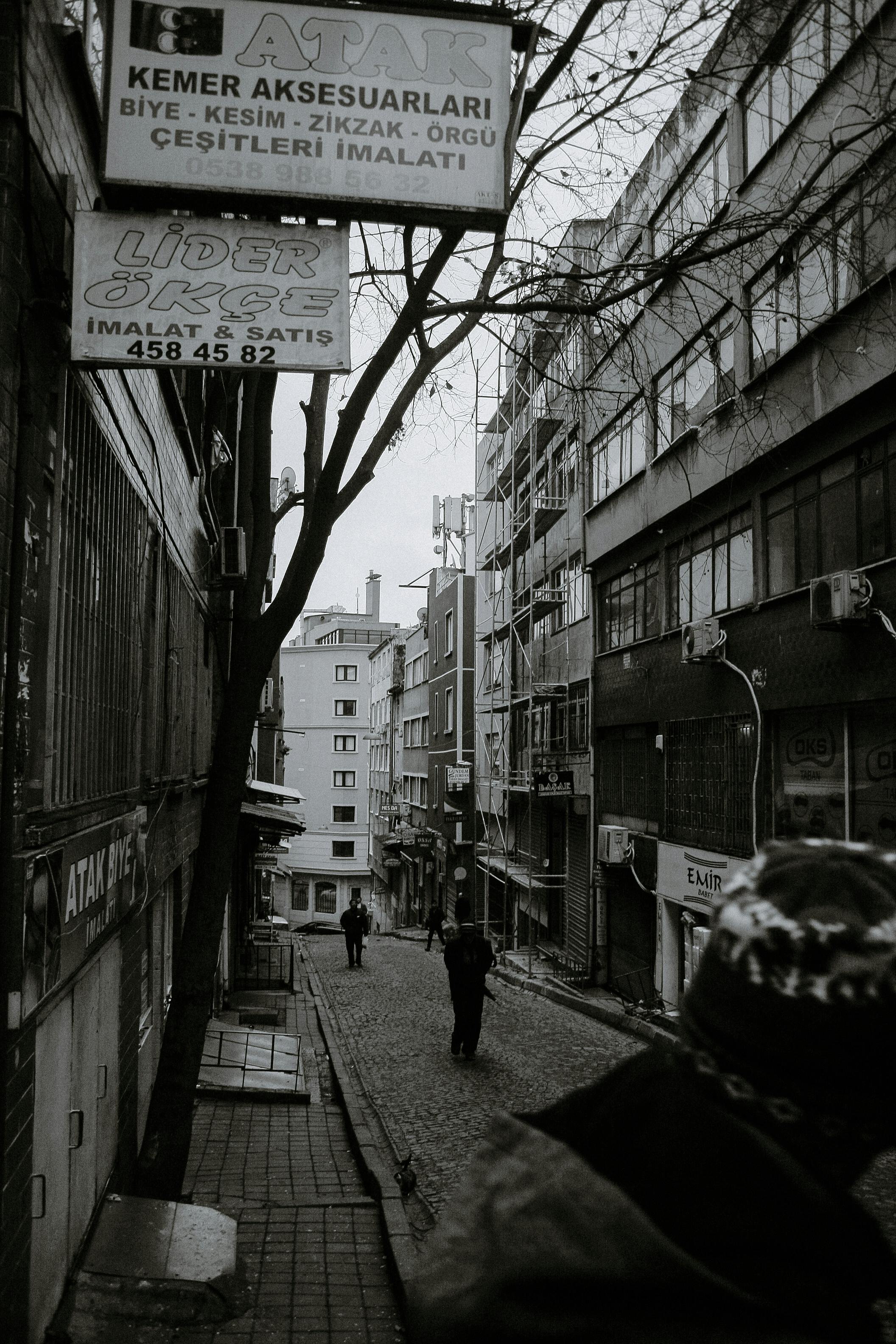 Number Tree Photos, Download The BEST Free Number Tree Stock Photos ...