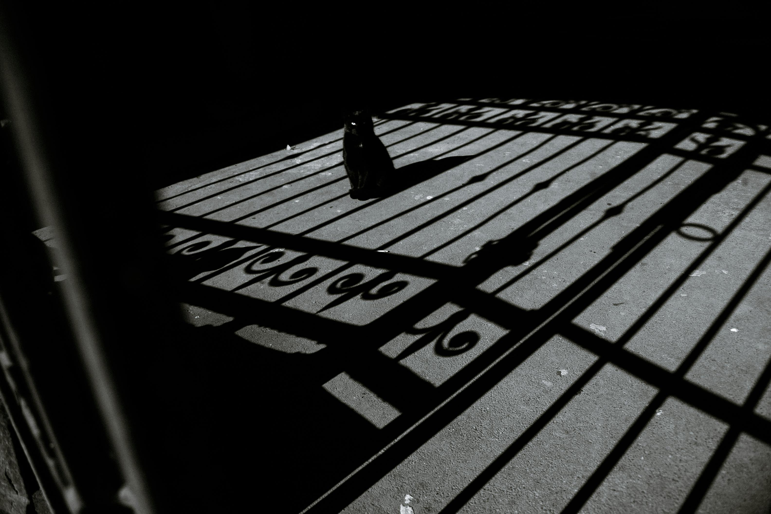 Gate Animated Photos, Download The BEST Free Gate Animated Stock Photos ...