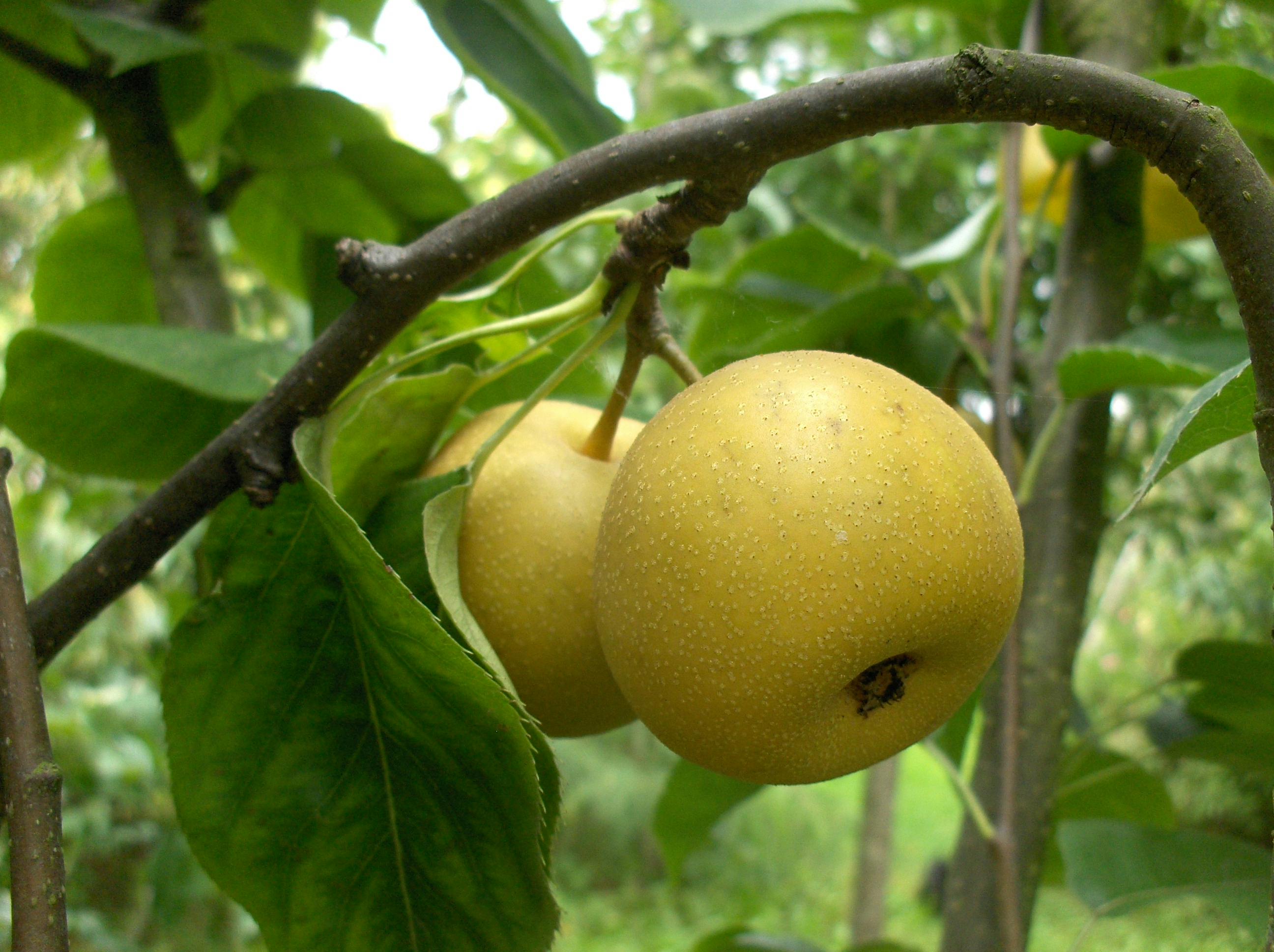 ML ARANDA - Fotografía