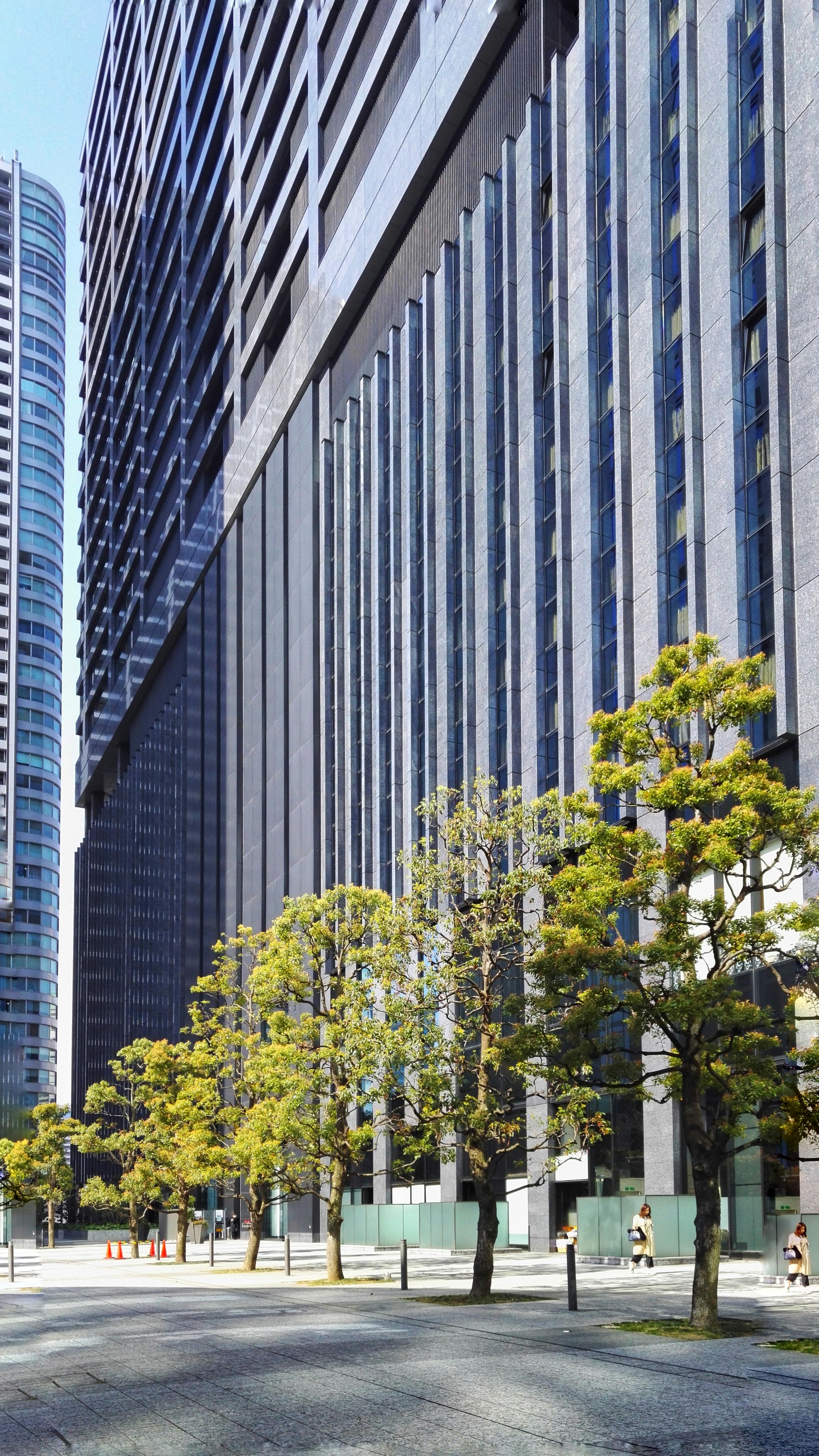 Green Trees Near High Rise Building · Free Stock Photo