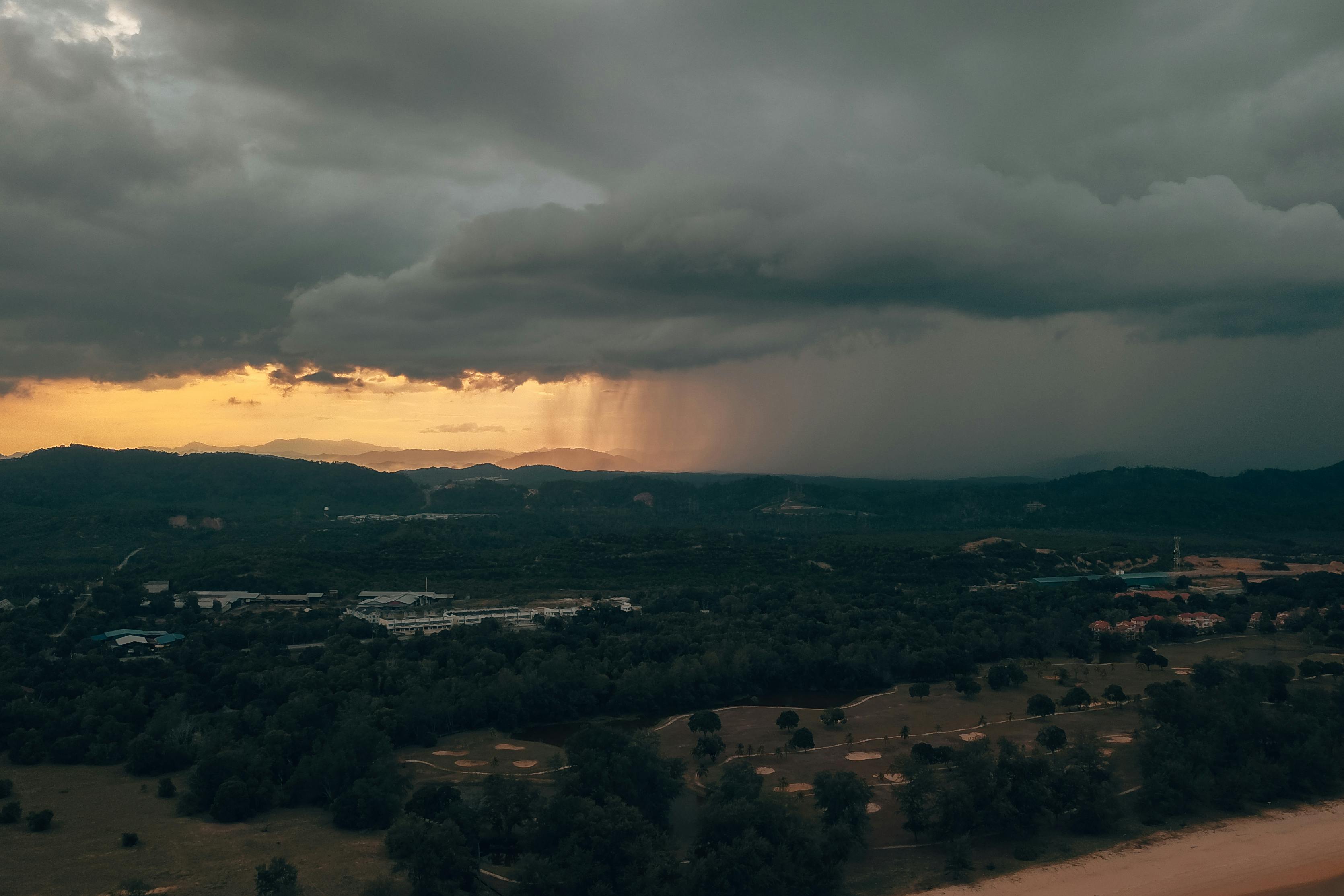 Stormy Forest Photos, Download The BEST Free Stormy Forest Stock Photos ...