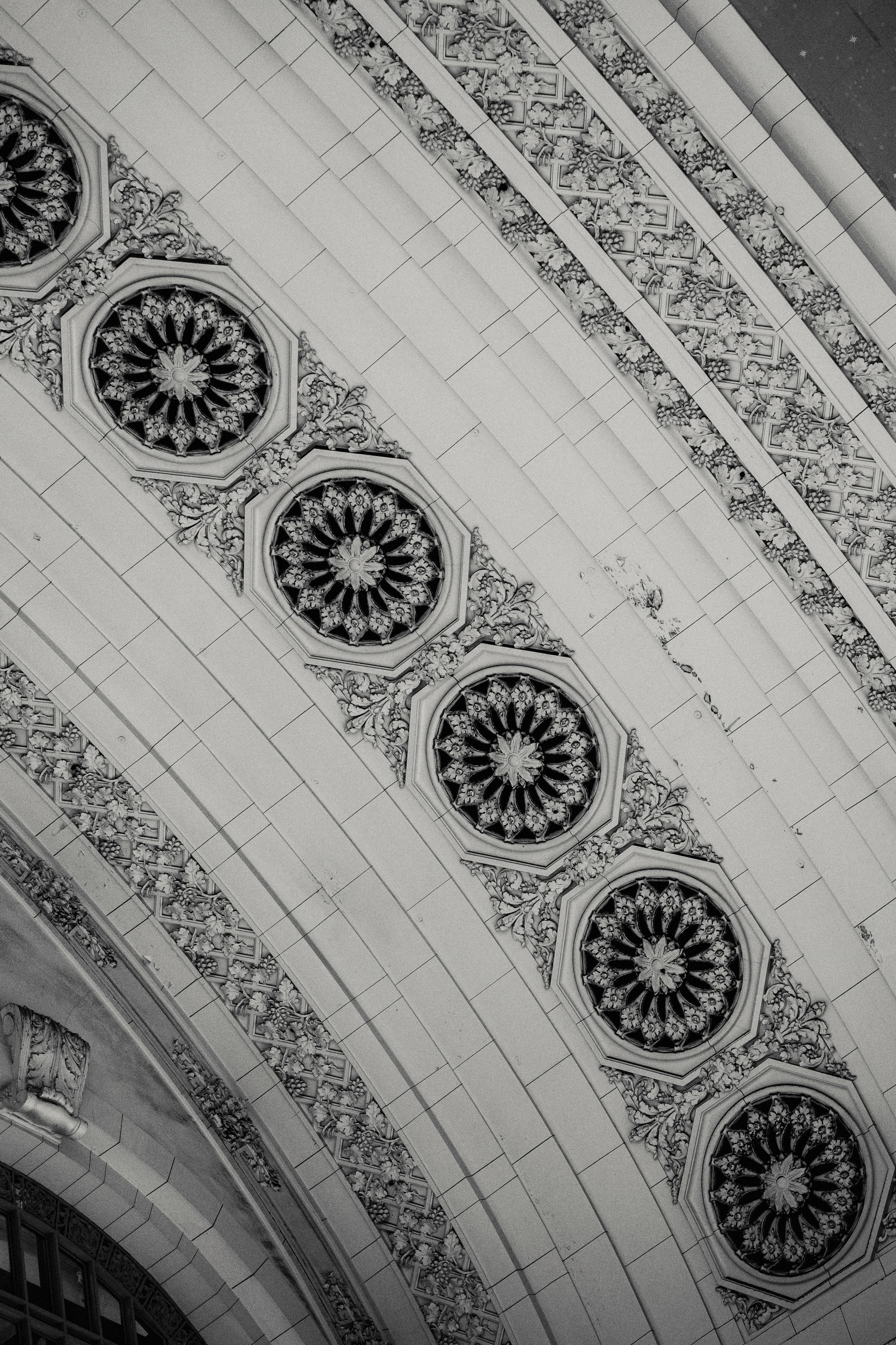 Rosette Structure Photos, Download The BEST Free Rosette Structure ...