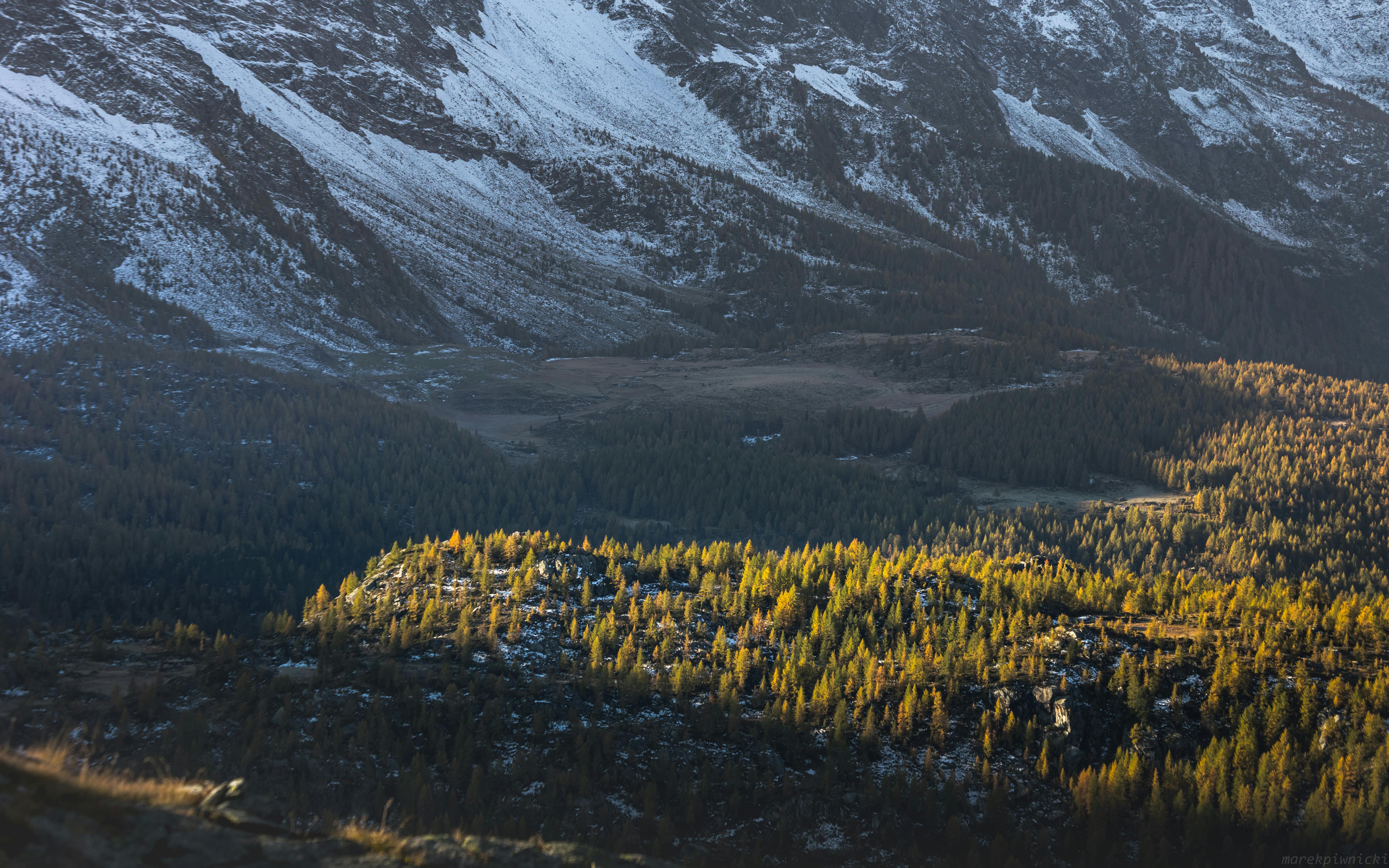 Aerial View of Green Trees by the Mountain · Free Stock Photo